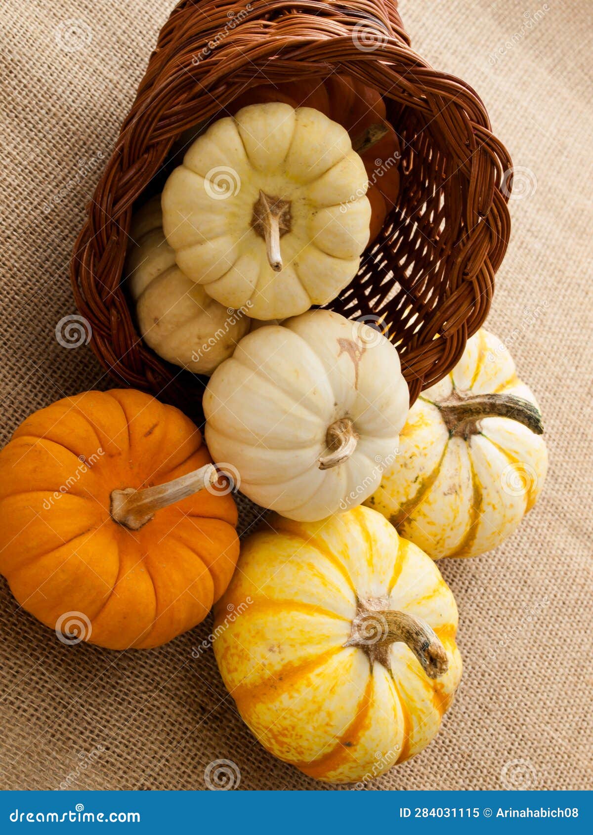 Mini Pumpkins stock image. Image of small, miniature - 284031115