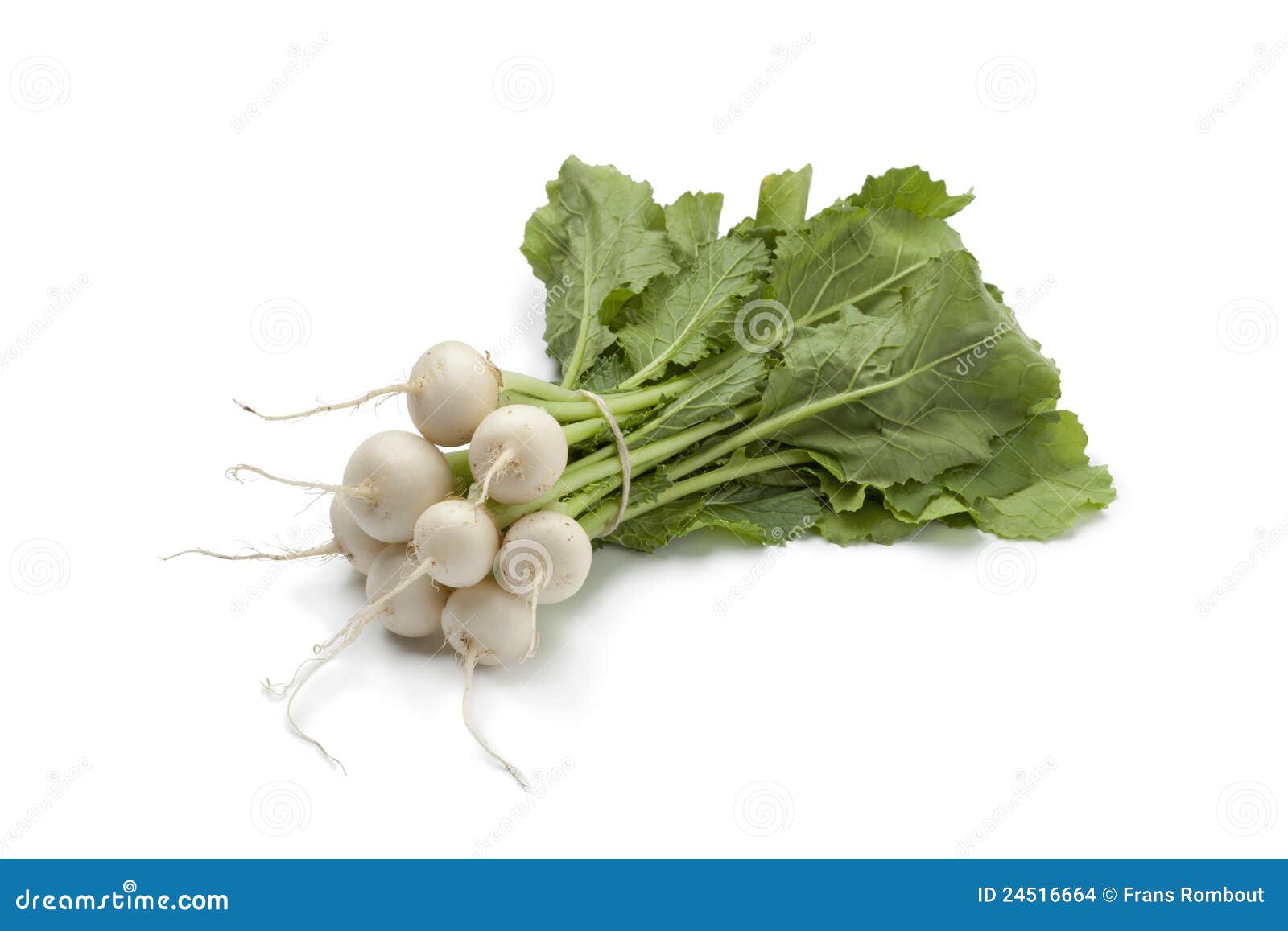 Mini rapen stock foto. Image of raap, horizontaal, eten - 24516664