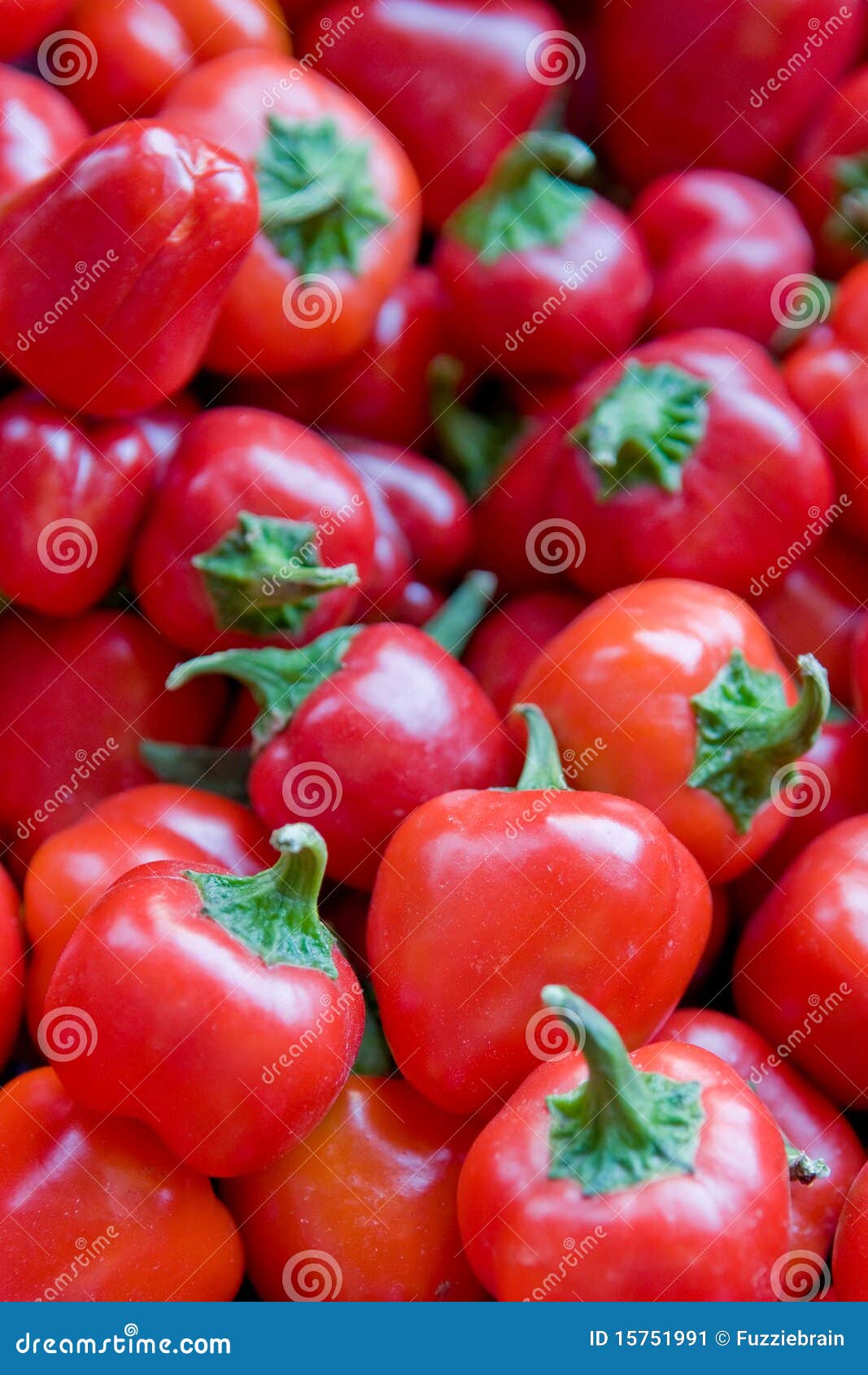 Mini Red Peppers stock image. Image of mini, ingredients - 15751991