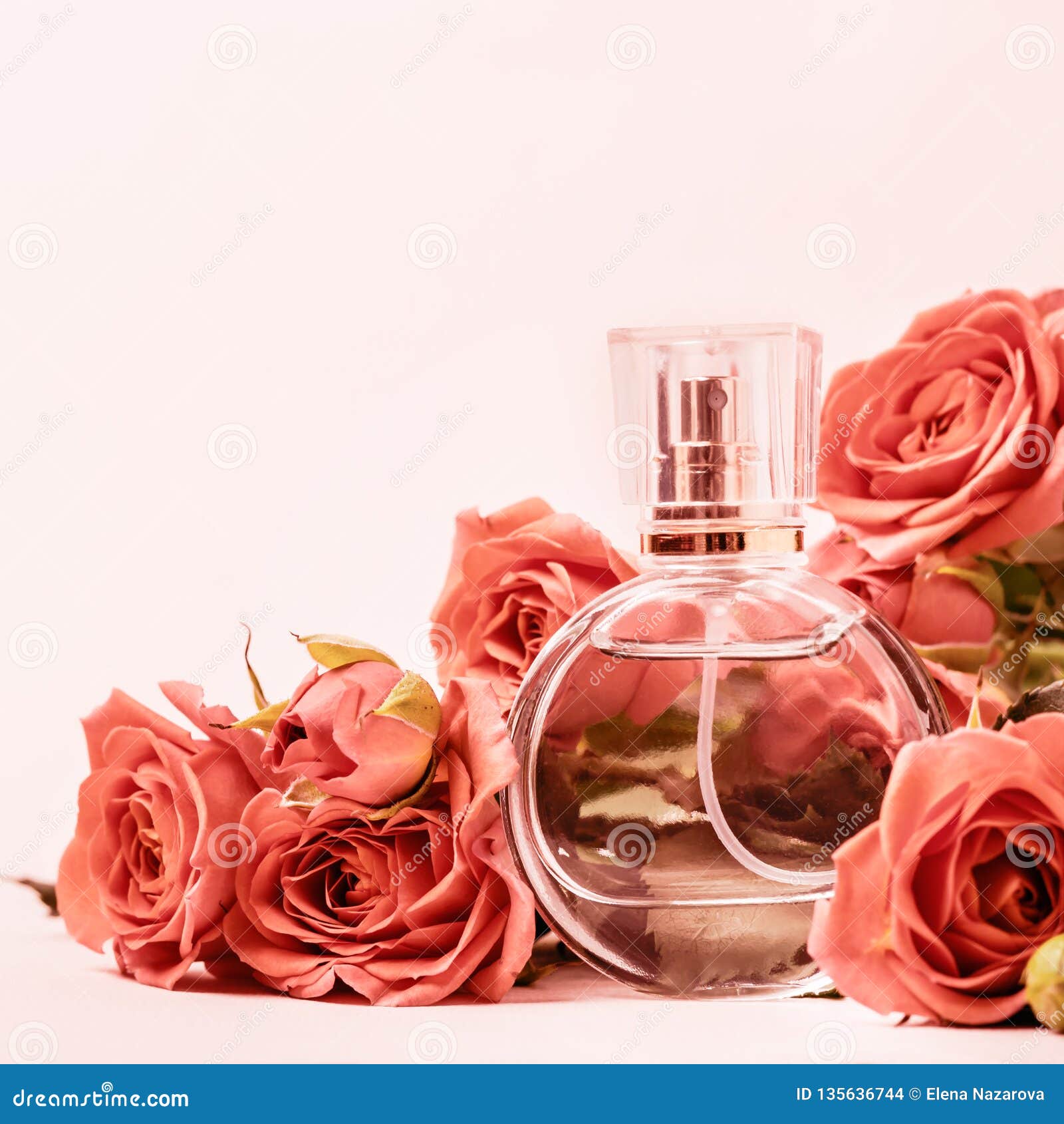 Mini Rosas Corais E Close-up Dos Perfumes Matizado Foto de Stock ...