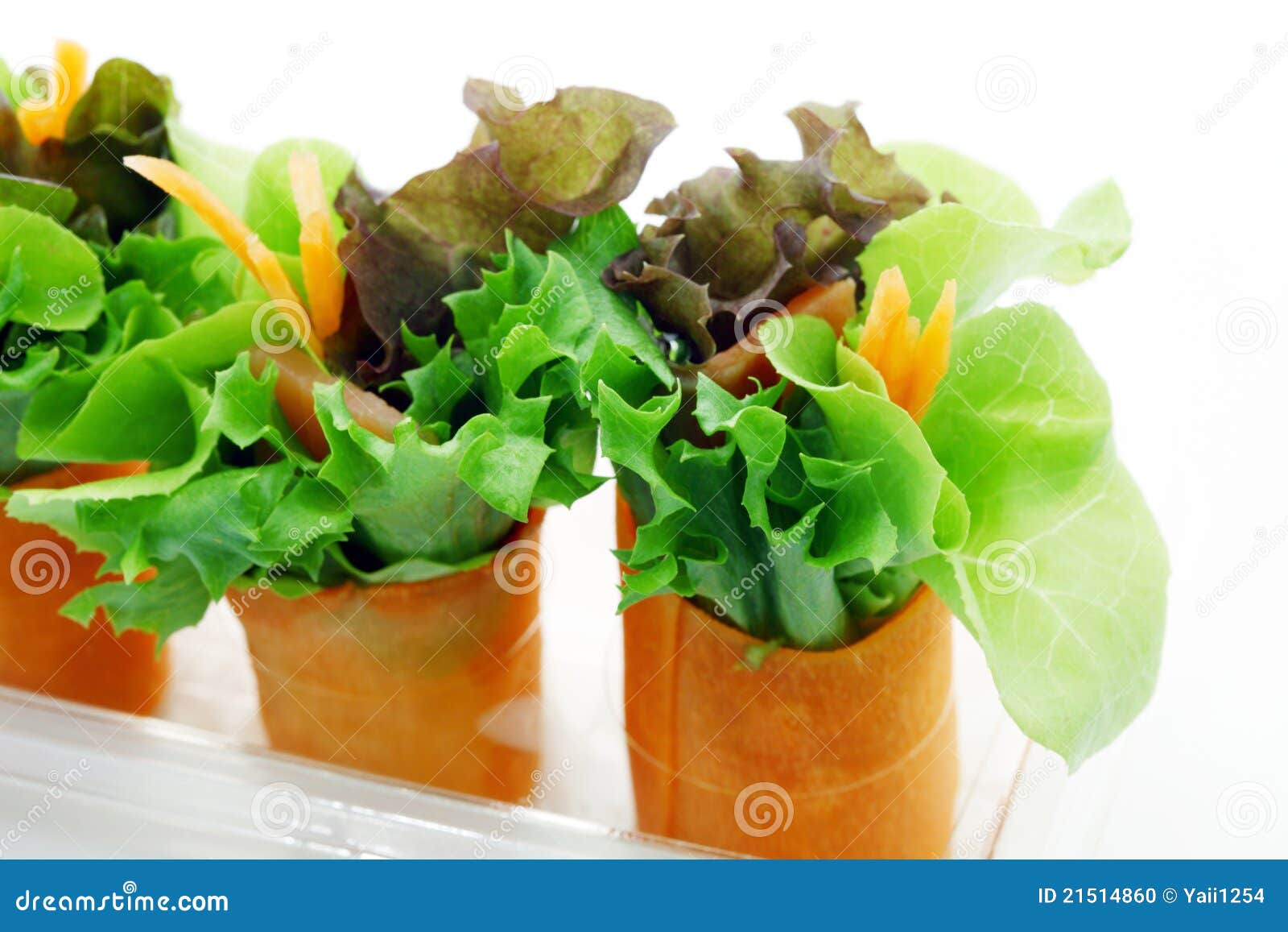 Mini salad stock photo. Image of vegetable, brown, mini - 21514860