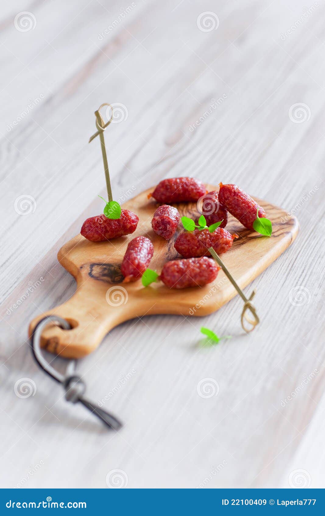 Mini salami stock image. Image of appetizer, salami, dried - 22100409