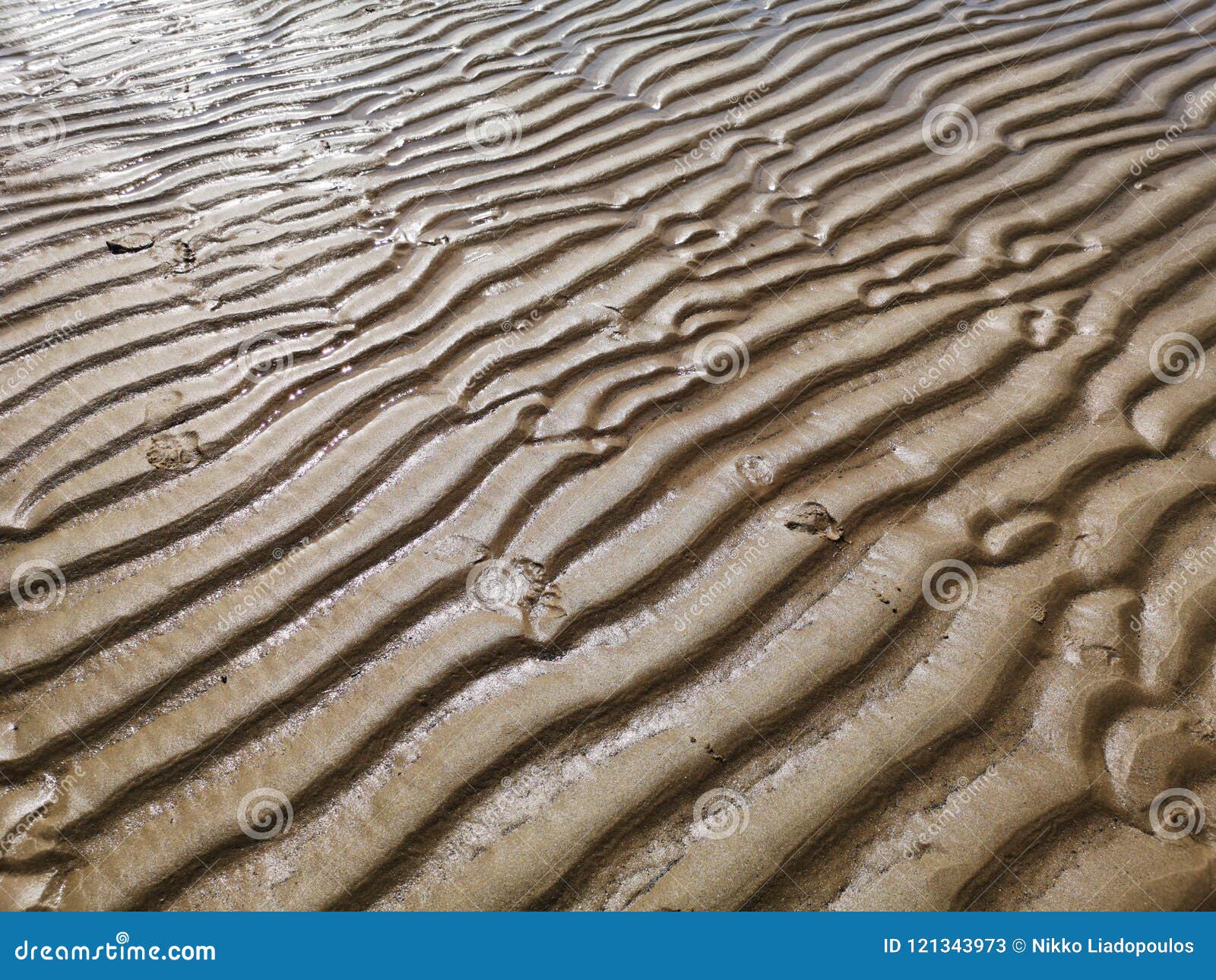 Mini Sand Dunes stock image. Image of sand, fine, coast - 121343973