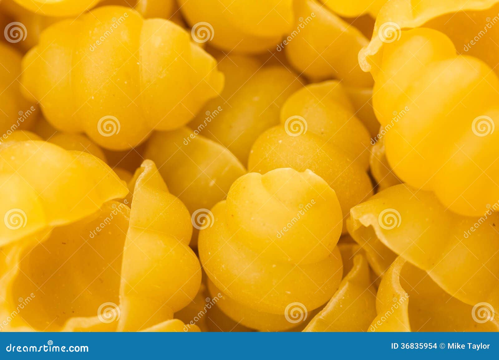 Mini Shell Pasta Close Up stock photo. Image of shell - 36835954