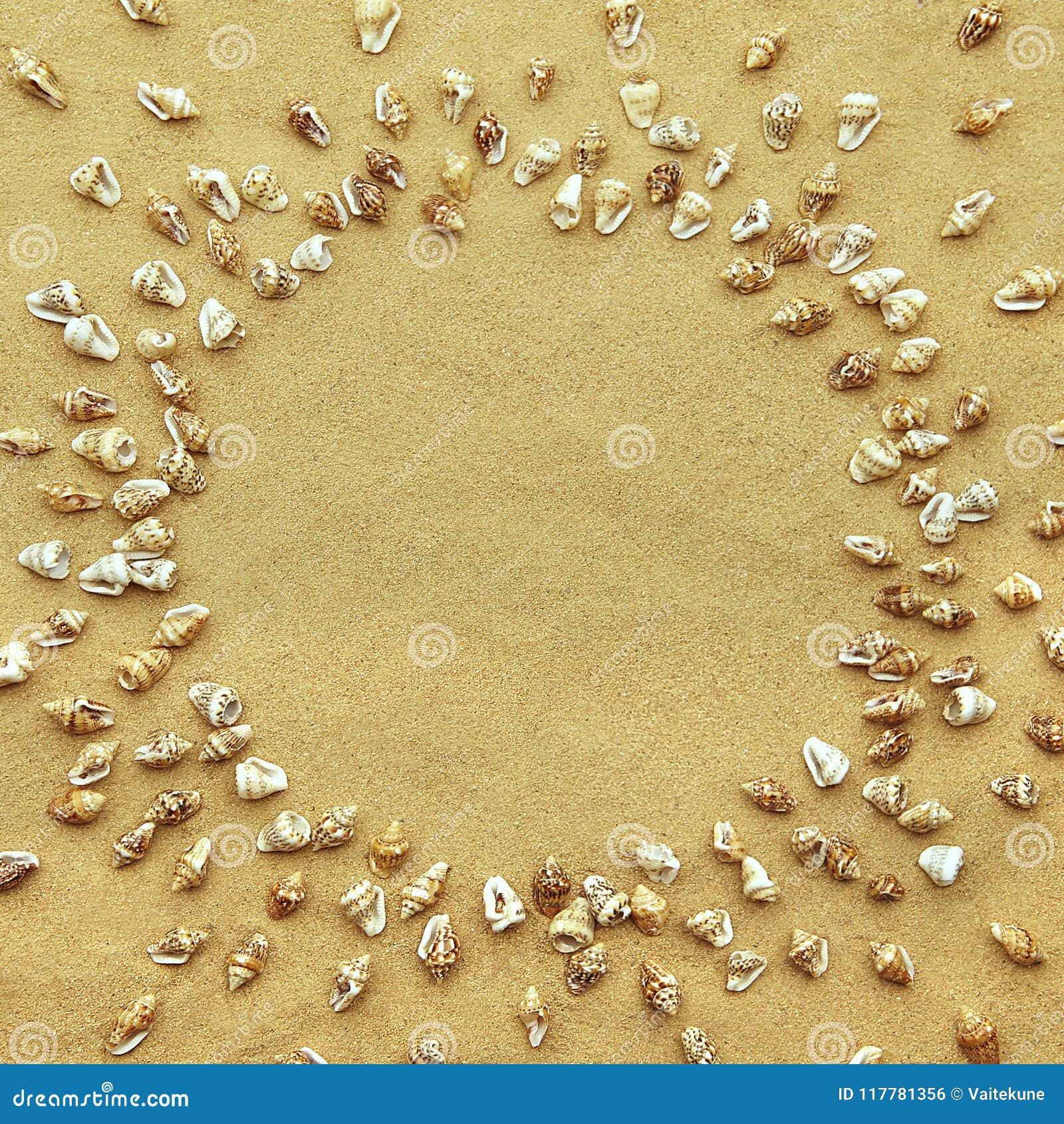 Circle Frame Made of Tiny Sea Shells on Beach Sand Background. Stock ...