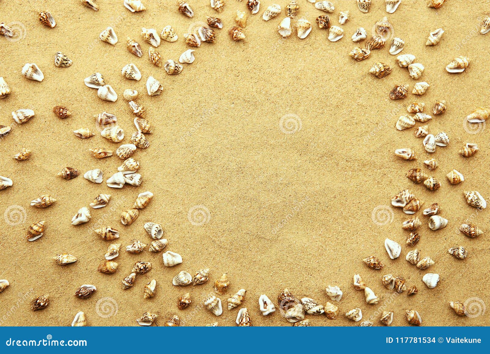 Circle Frame Made of Tiny Sea Shells on Beach Sand Background. Stock ...