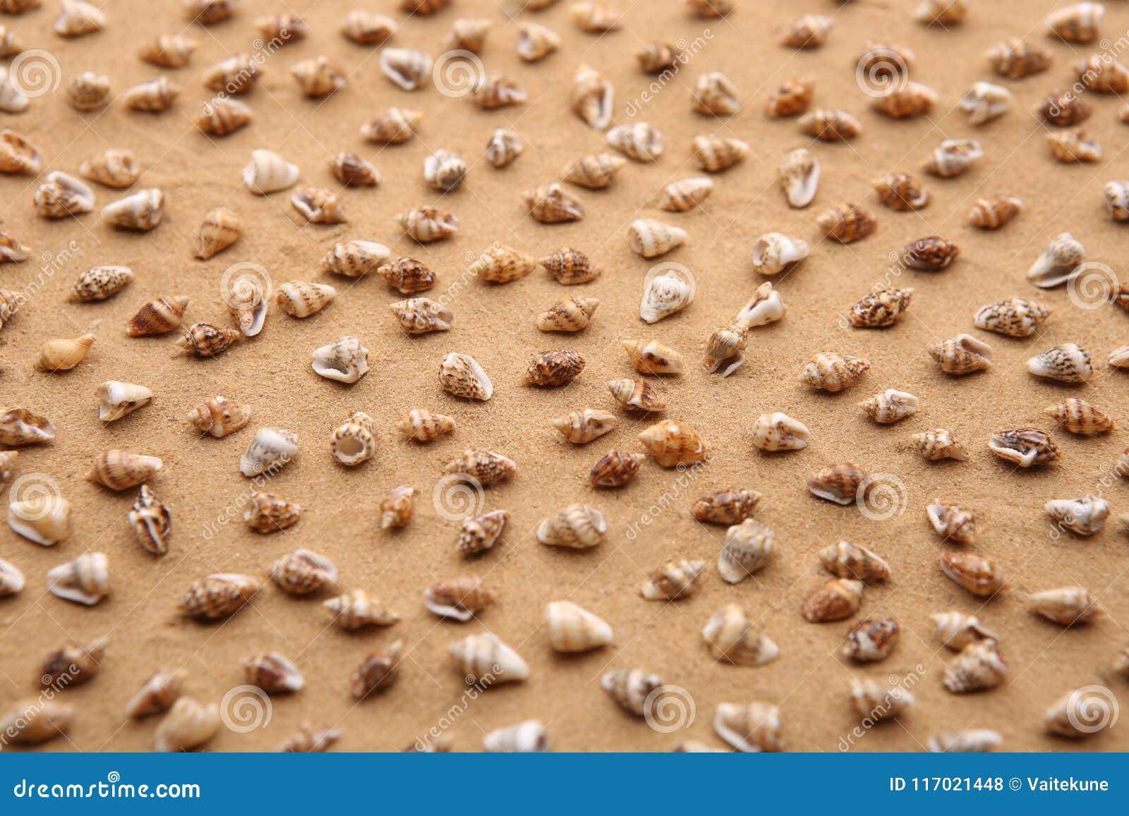 Beach Sand Background with Tiny Sea Shells. Stock Photo - Image of sand ...
