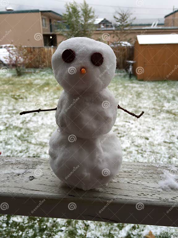 Mini Snowman stock photo. Image of mini, miniature, chocolateeye - 71084208