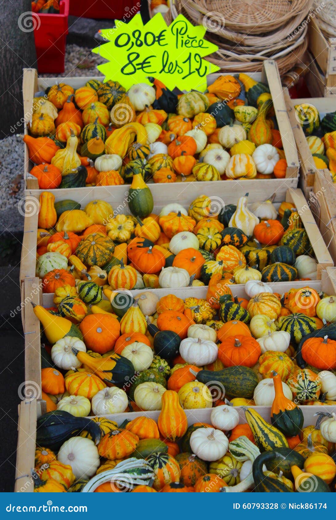 Mini squash stock photo. Image of squash, france, stall - 60793328
