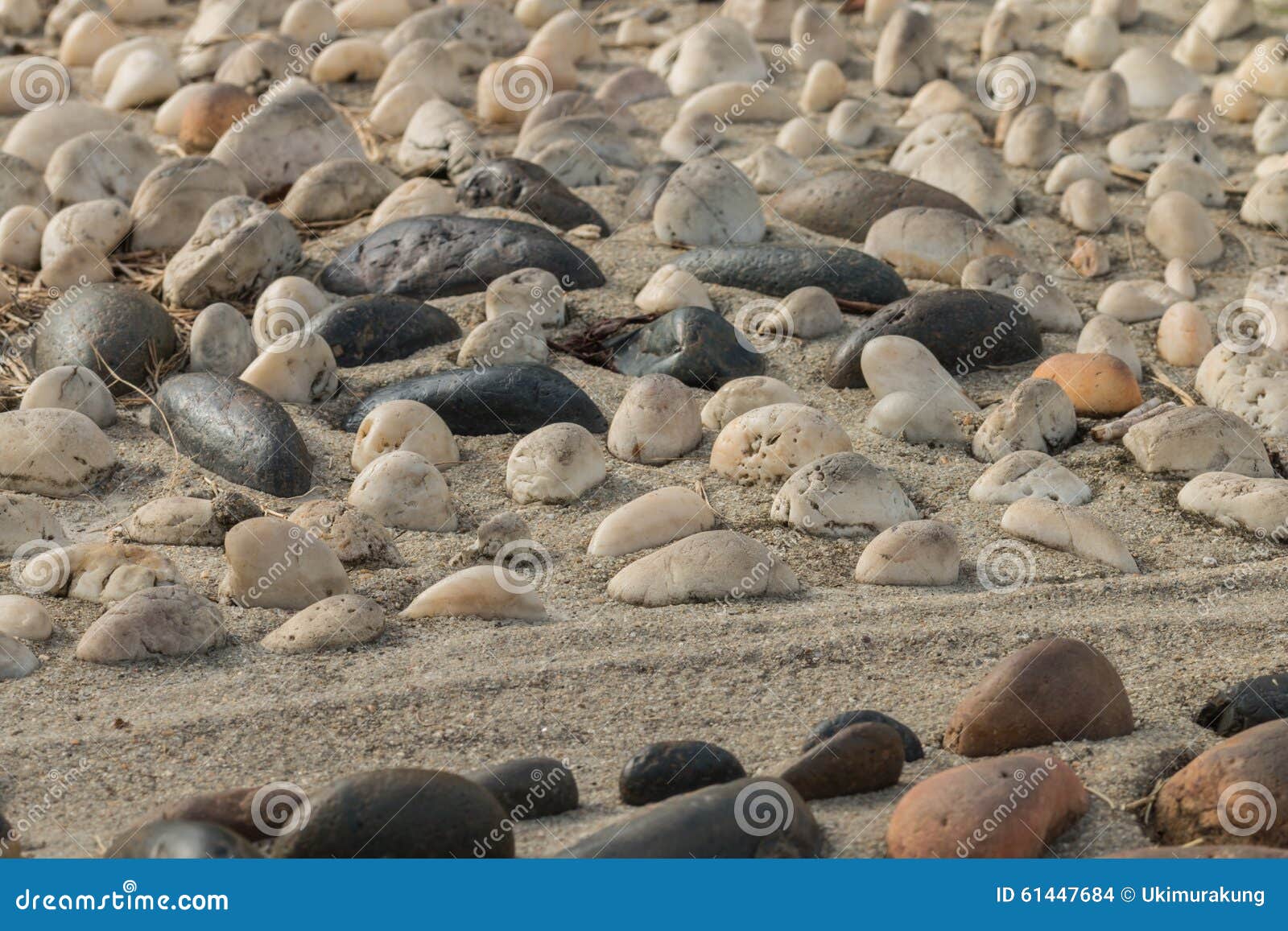 Mini Stone with Sunlight Bury on Sand Stock Photo - Image of ...