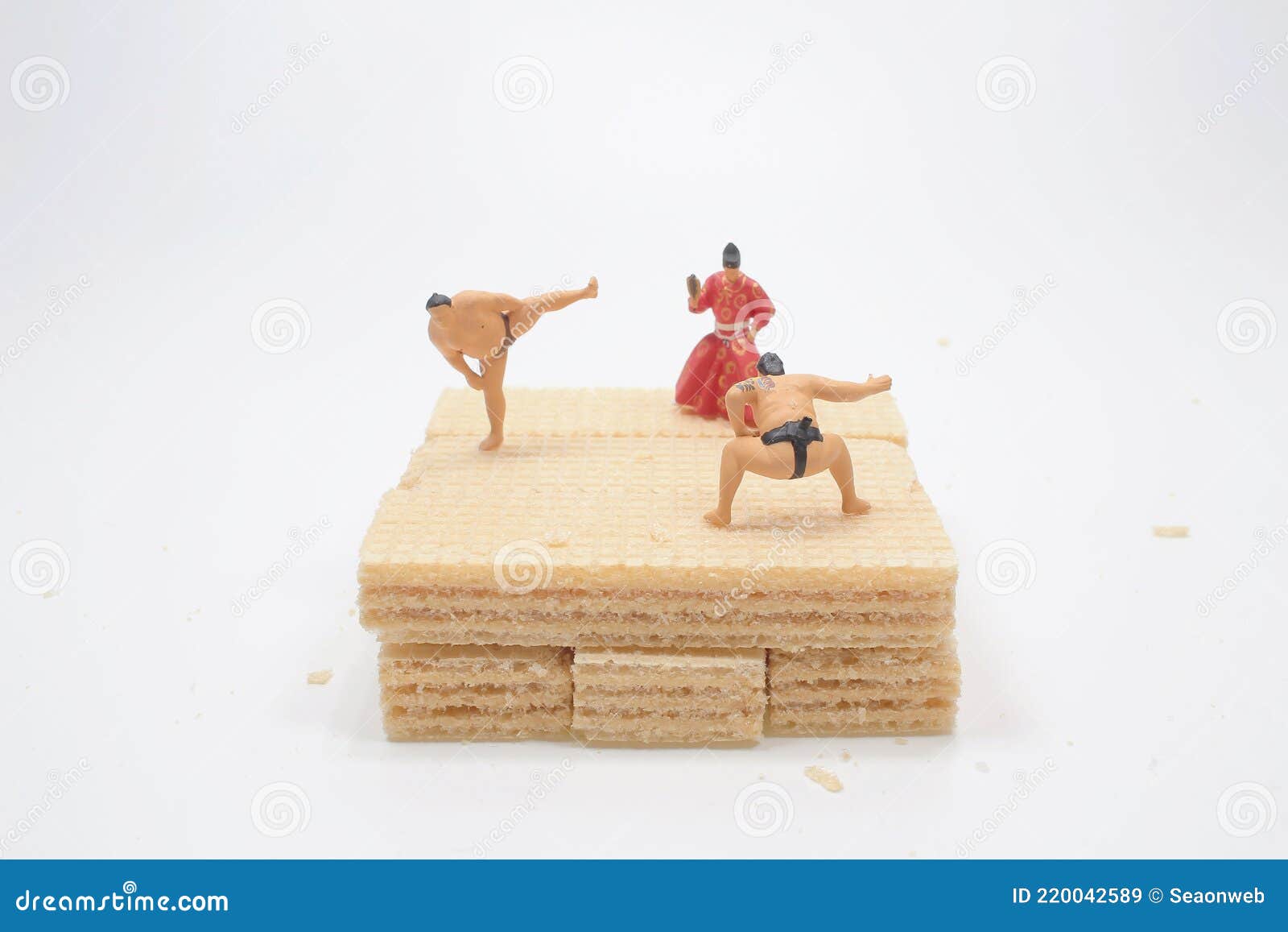 A Mini Sumo Fighters Figth on the Waffle Stock Image - Image of ...
