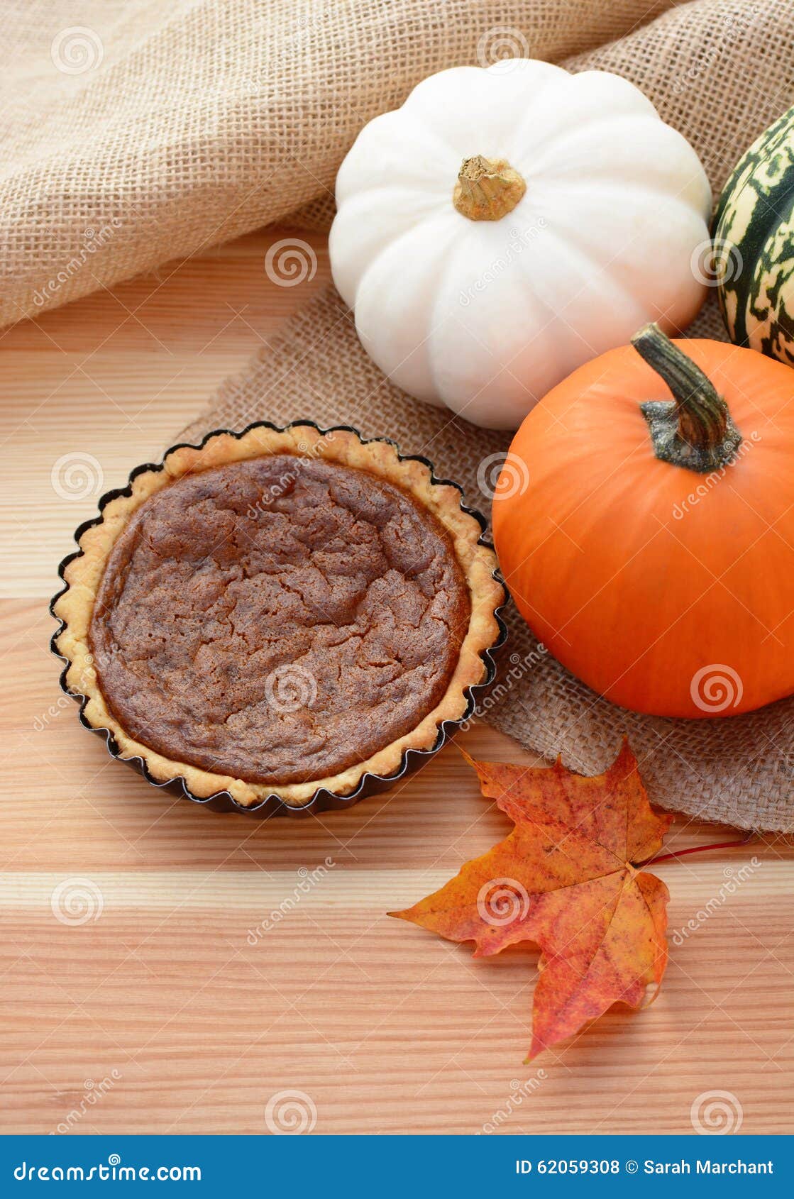 Mini Tarte De Potiron Avec Des Courges De Chute Photo stock - Image du ...