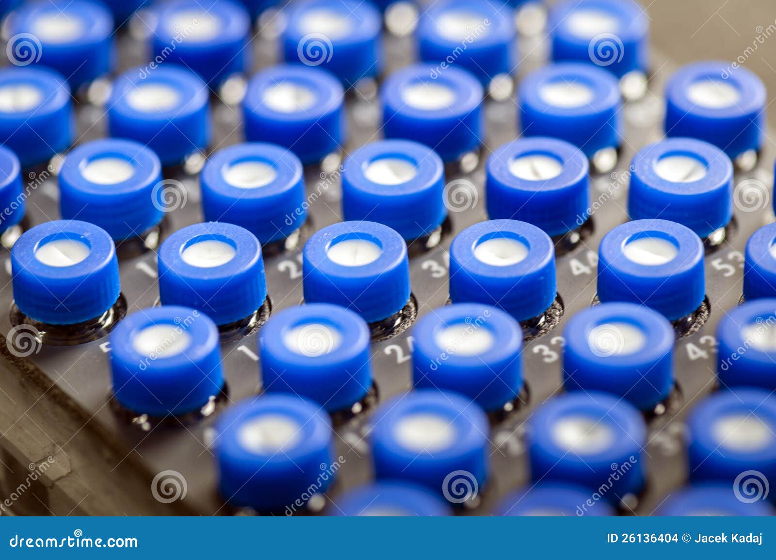 Mini Test Tubes in Test Container Stock Photo - Image of analysis ...