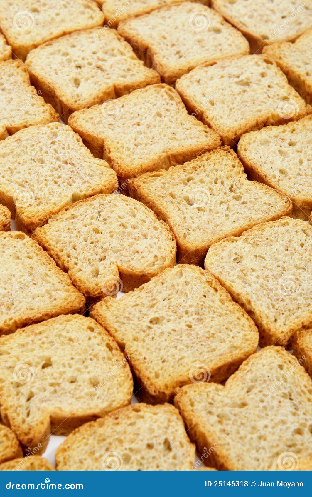 Mini toasts stock photo. Image of texture, meal, rusks - 25146318