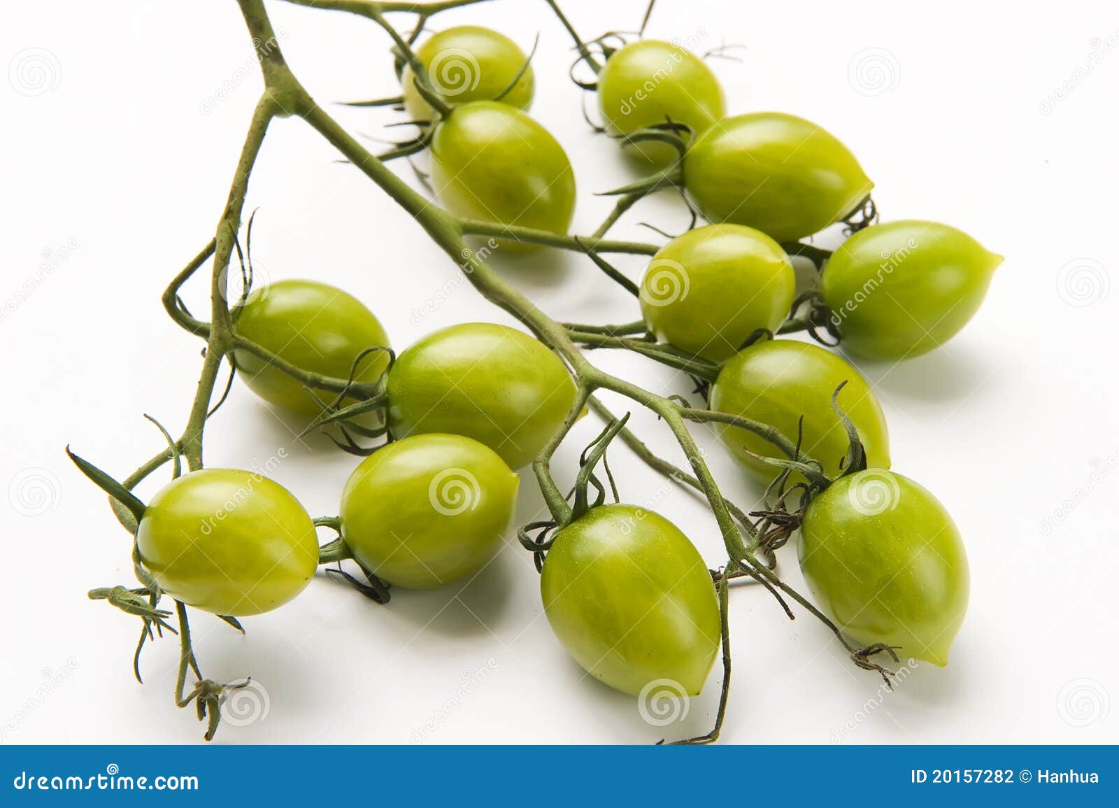 Mini tomato stock photo. Image of natural, environmental - 20157282