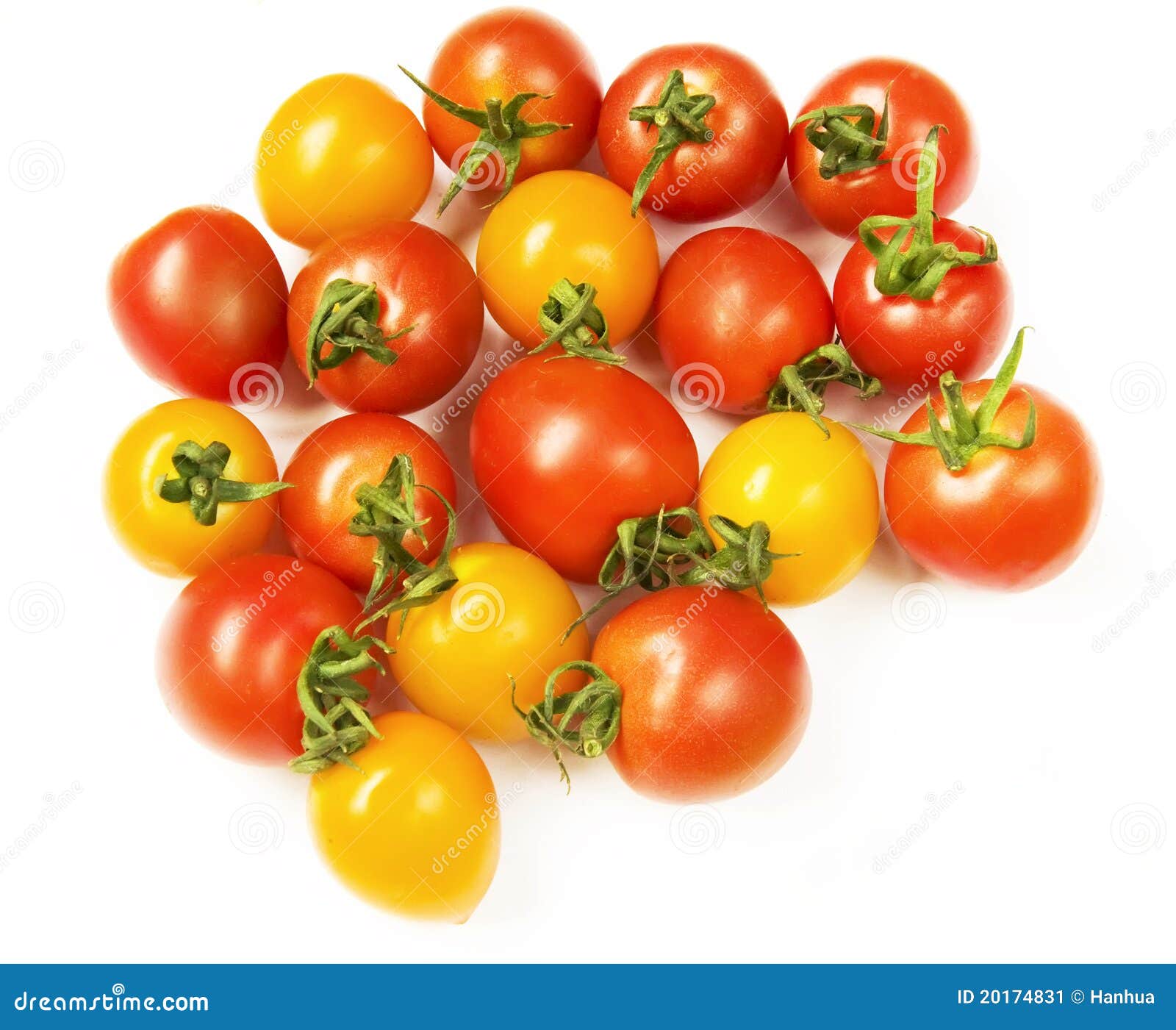 Mini tomato stock image. Image of environmental, protection - 20174831