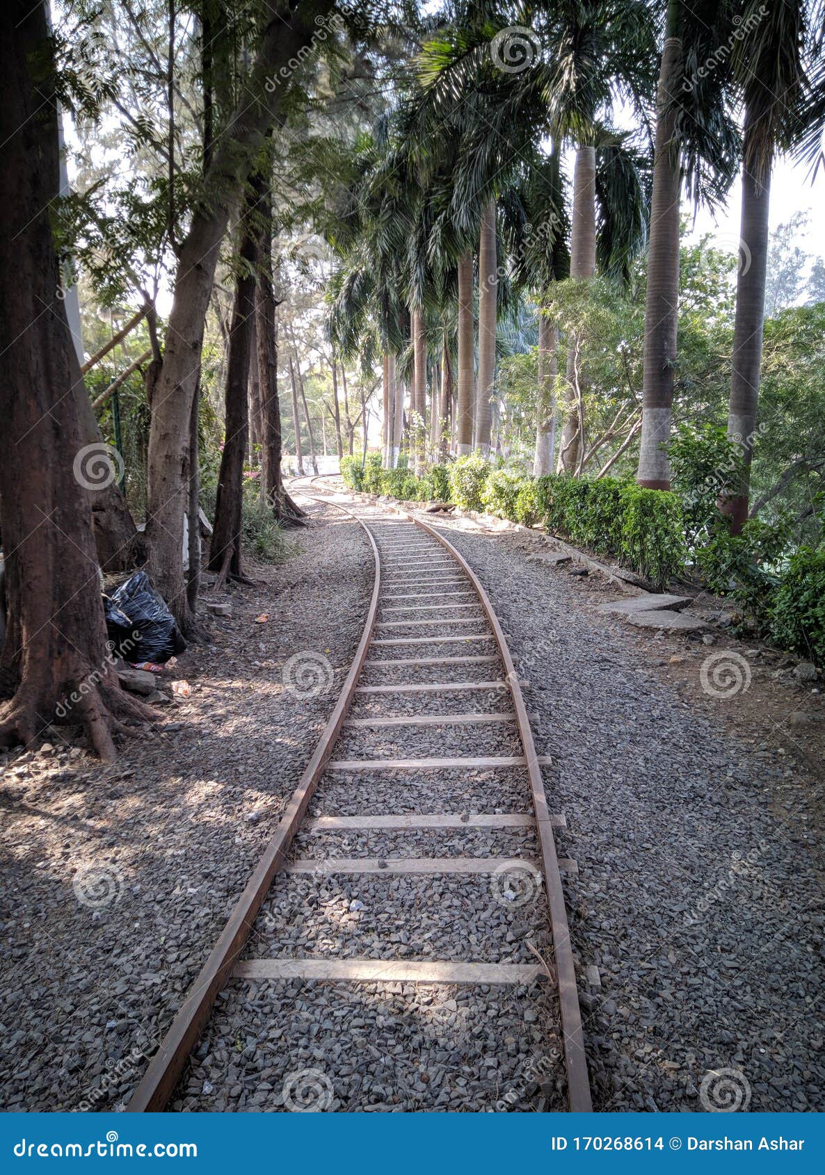 Mini Train Rails for Kids with Palm Tree Stock Photo - Image of train ...
