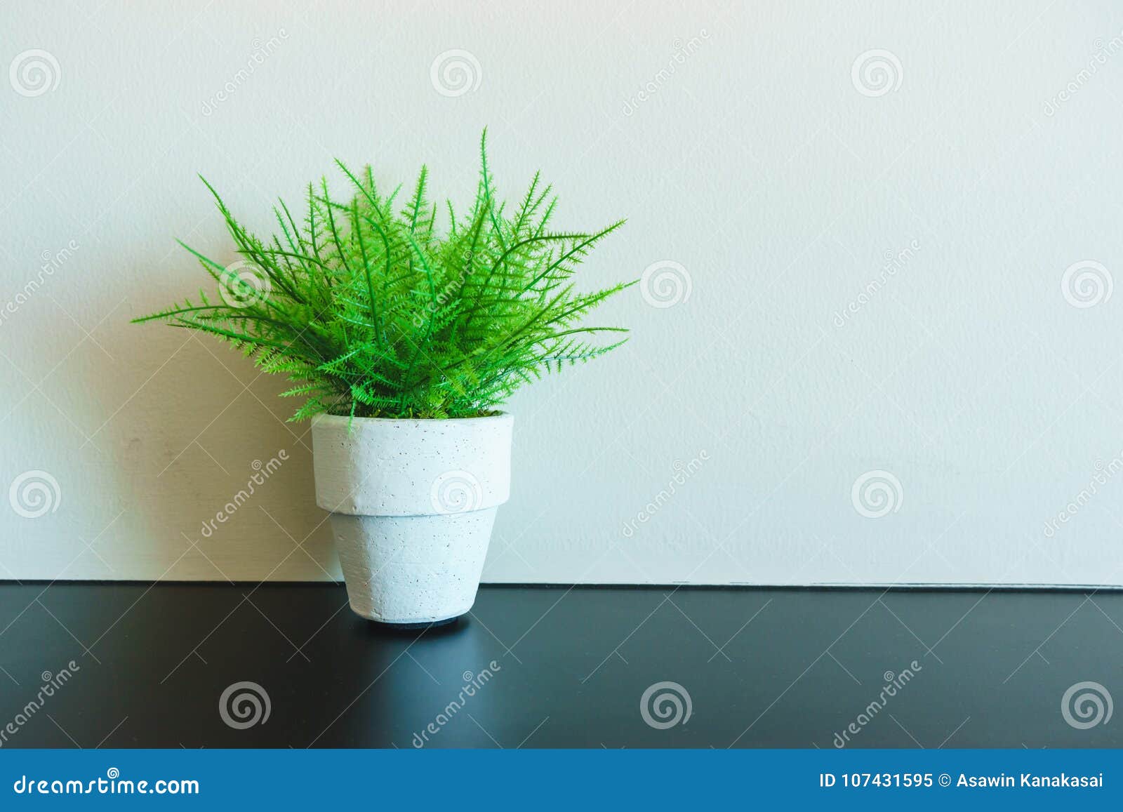 Mini tree pot stock image. Image of foliage, plants - 107431595