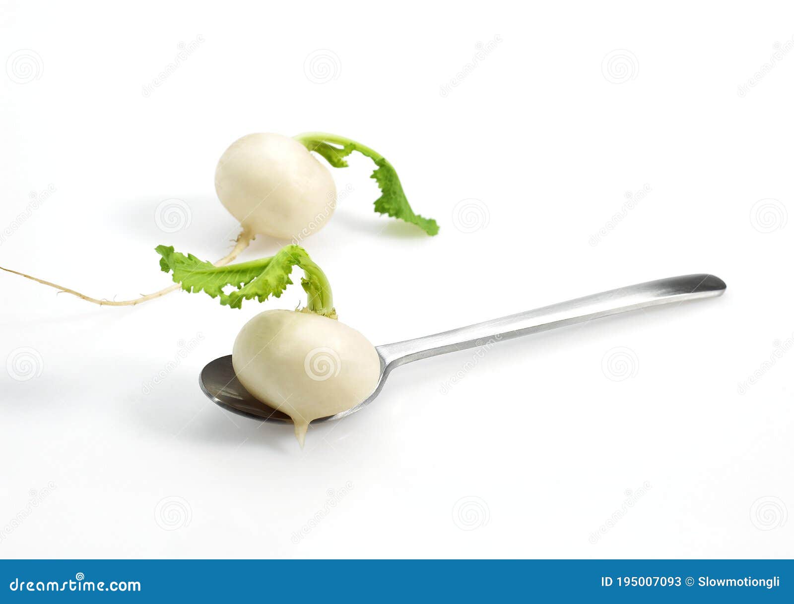 Mini Turnips Brassica Rapa Contra Fondo Blanco Imagen de archivo ...