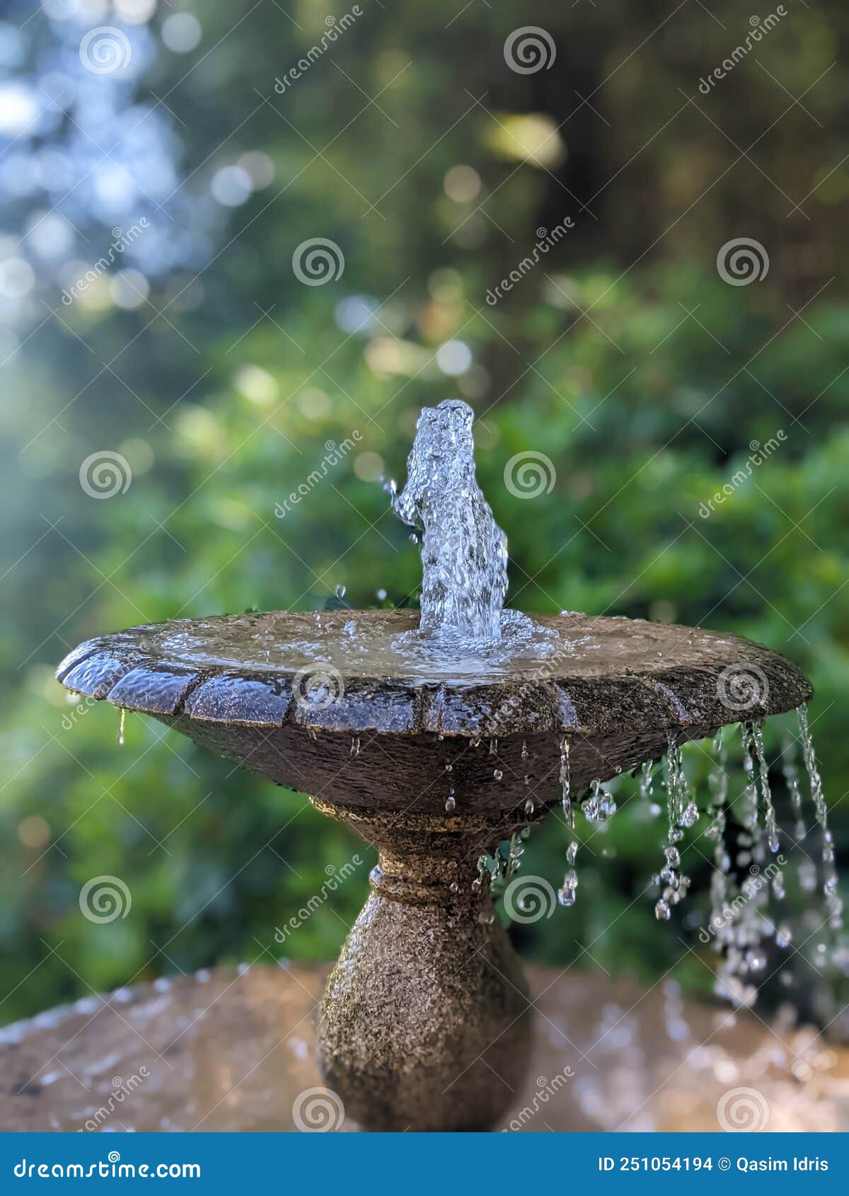 Mini water fountain stock photo. Image of green, plant - 251054194