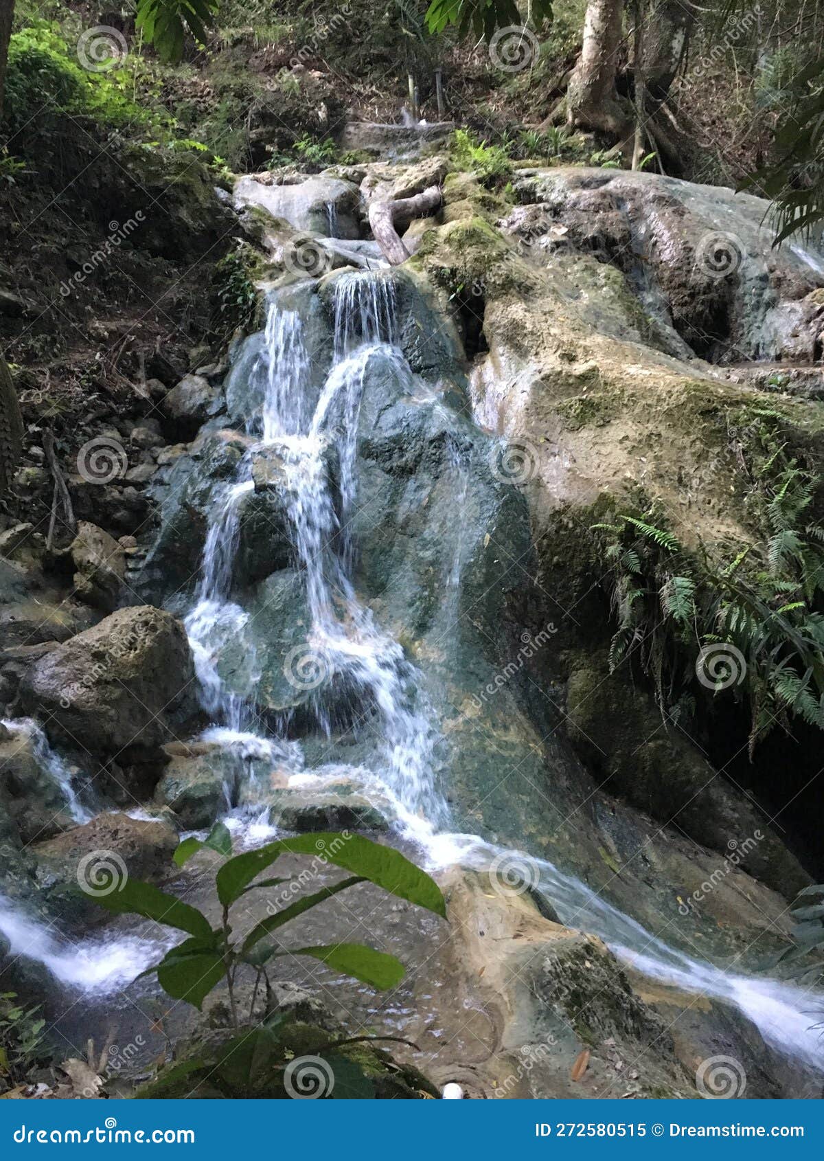 Mini waterfall stock image. Image of mini, waterfall - 272580515