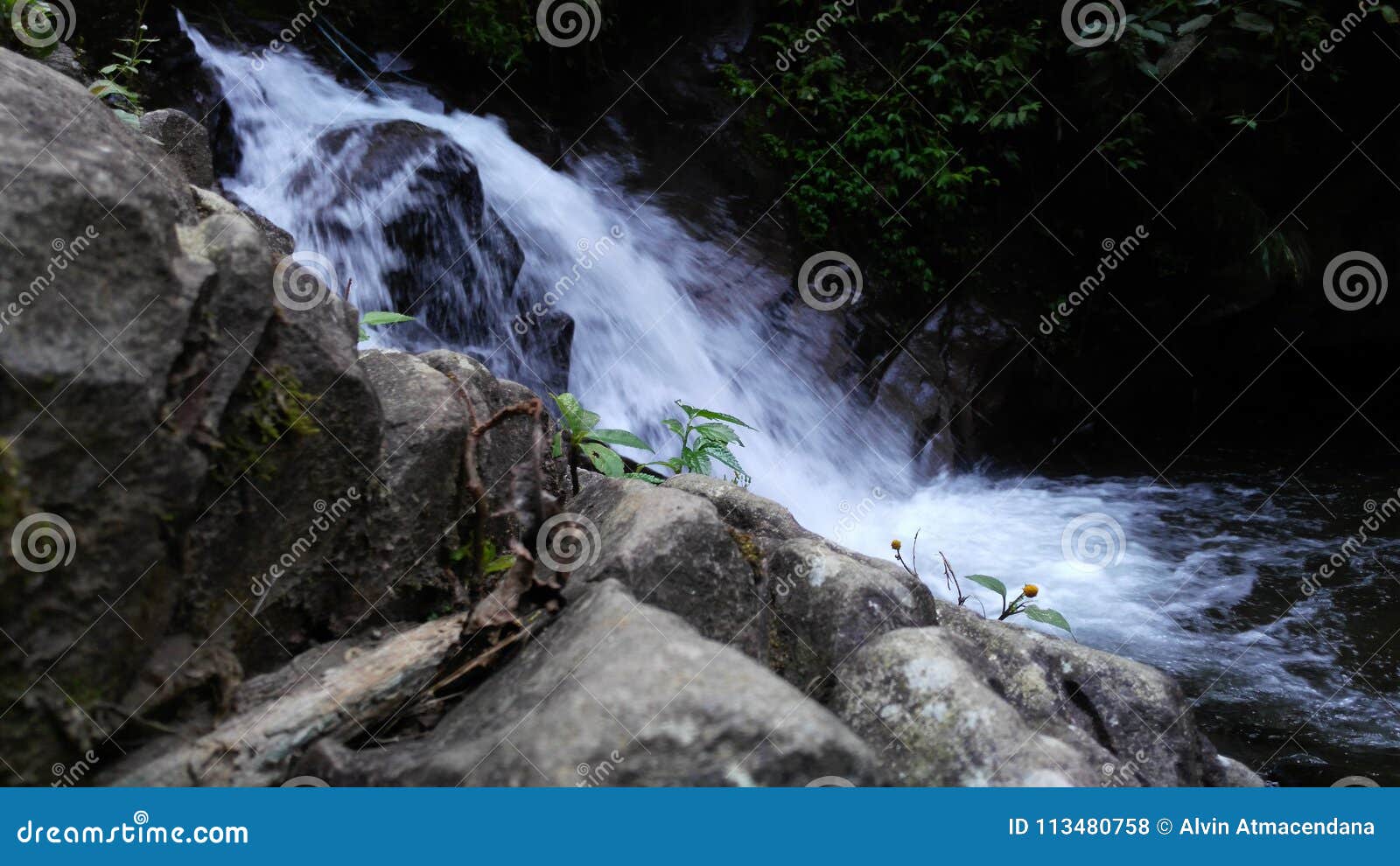 Mini Waterfall in Capolaga Indonesia Stock Photo - Image of capolagas ...