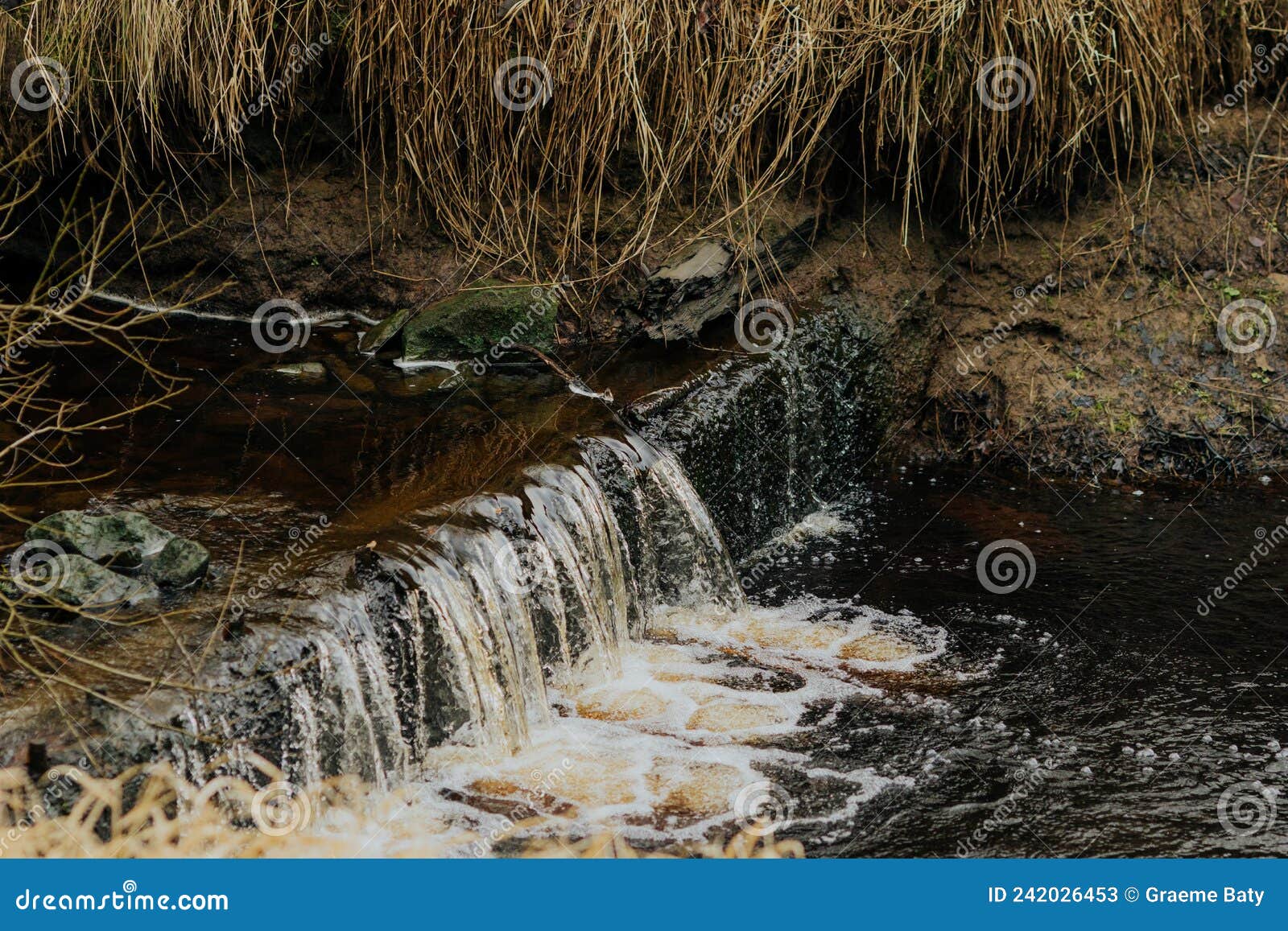 A Small Waterfall in Forest during Winter Stock Image - Image of small ...