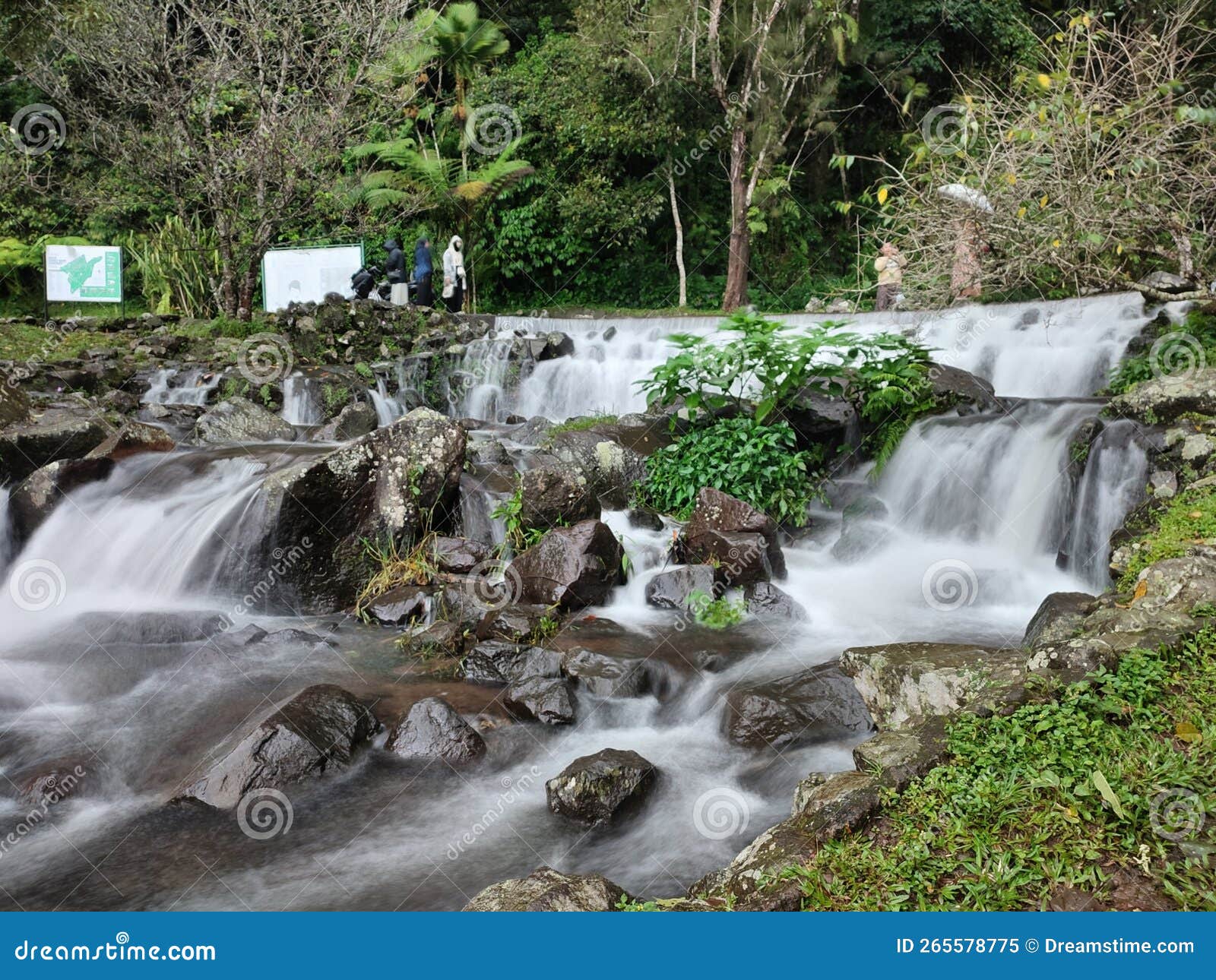 Mini Waterfall on the Landcape Stock Image - Image of biologic, nature ...