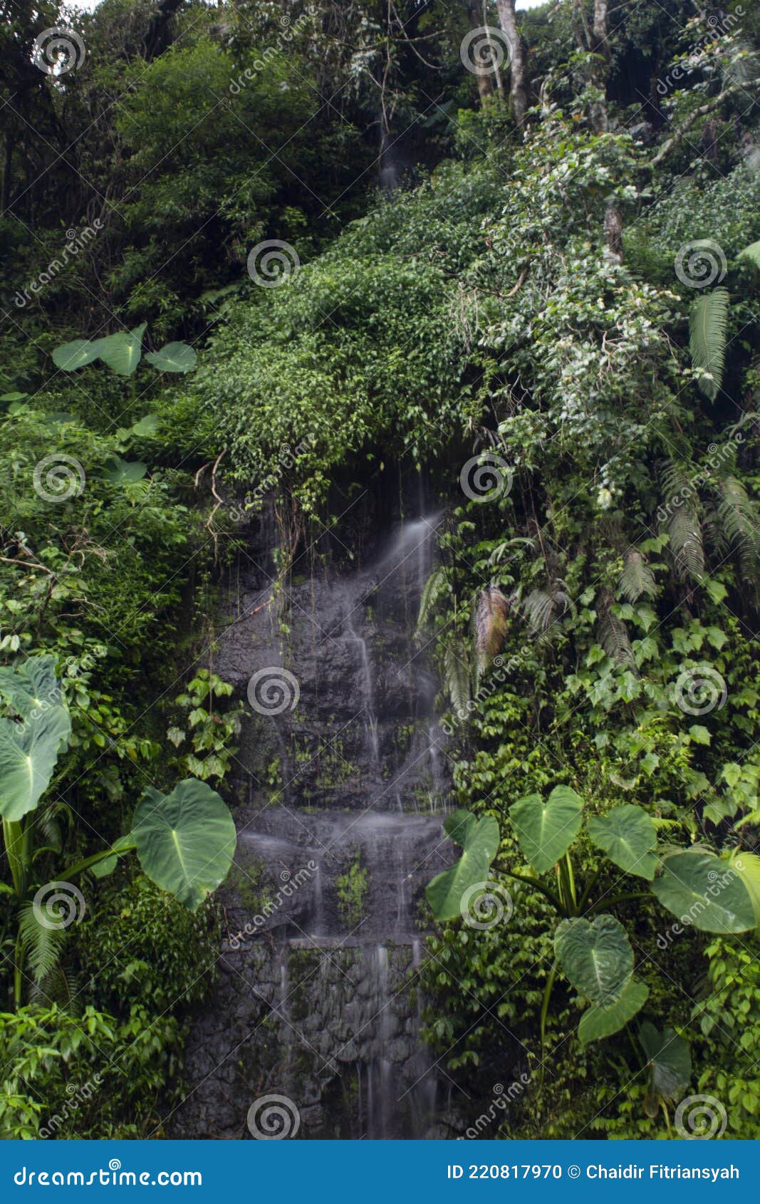 Mini Waterfall And Sunset Sunny Beams, Travel Destinations Background ...