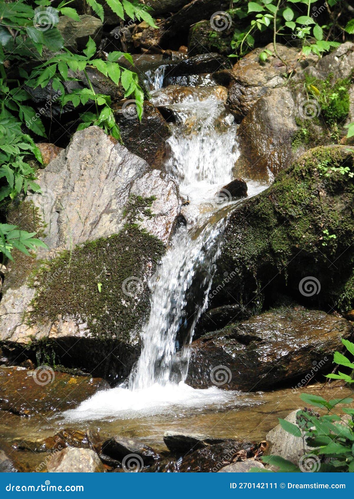 Mini waterfall stock image. Image of nature, mini, woodland - 270142111