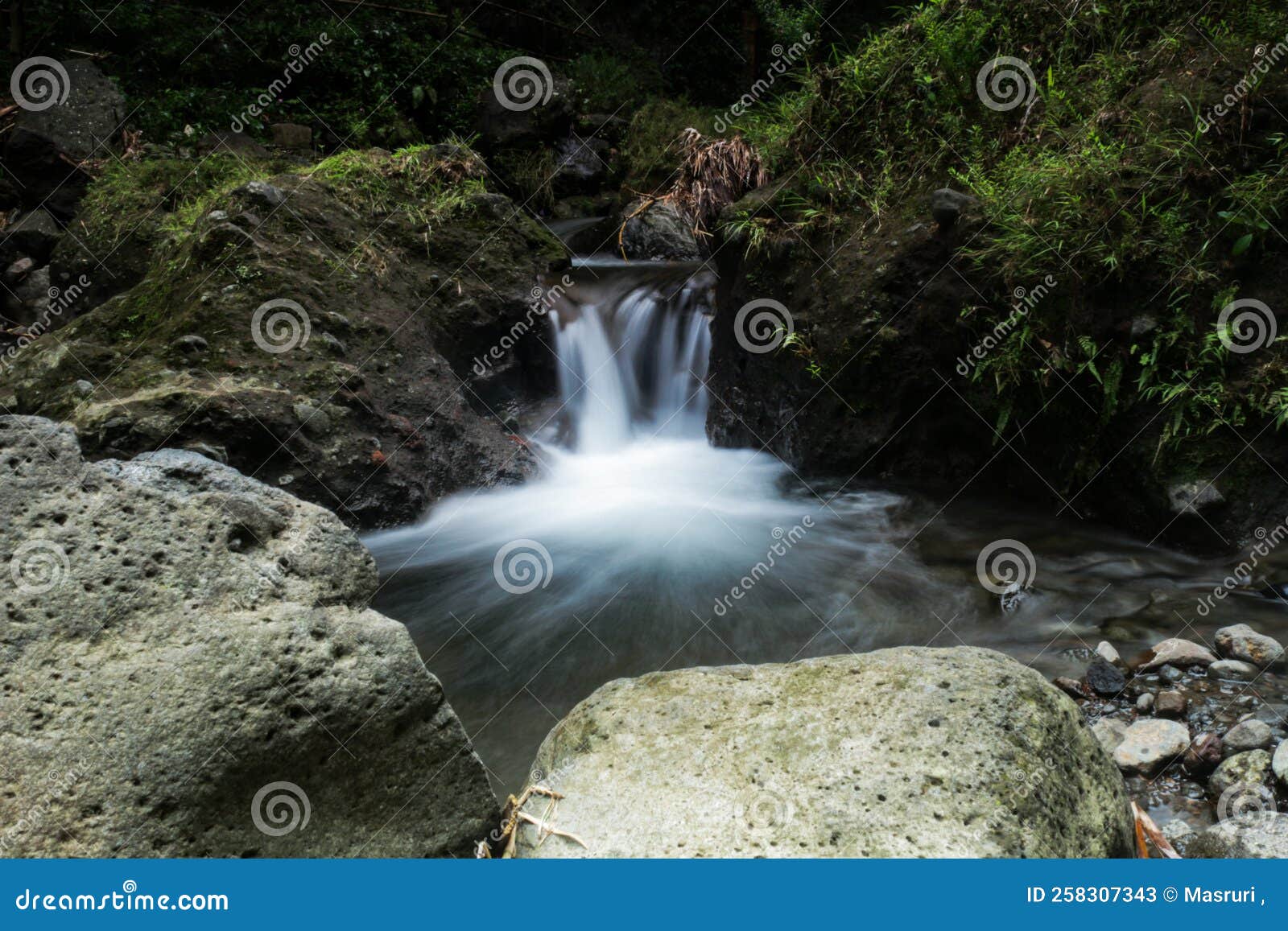 Mini Waterfall in the Rainforest Stock Image - Image of mini ...