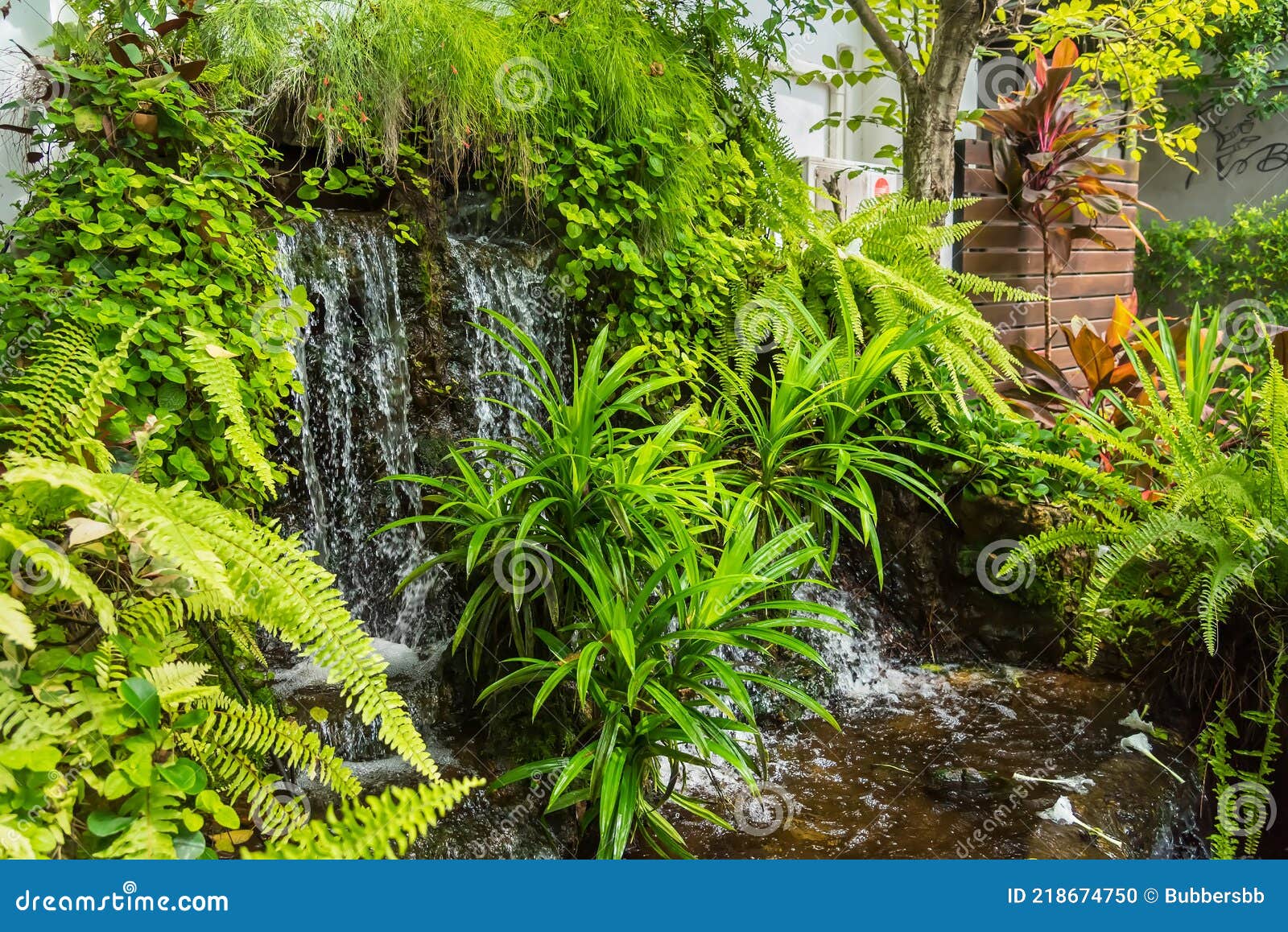 Mini Waterfall. Small Garden in the Area of the House Stock Photo ...