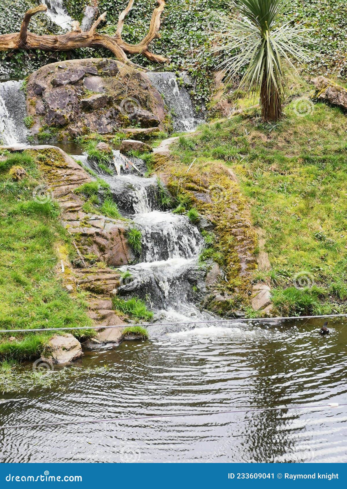 Mini waterfall in a stream stock image. Image of water - 233609041