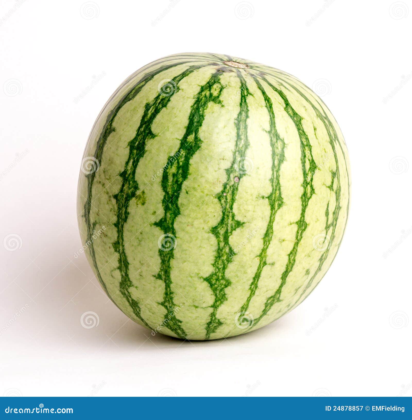Mini Watermelon stock image. Image of green, round, watermelon - 24878857