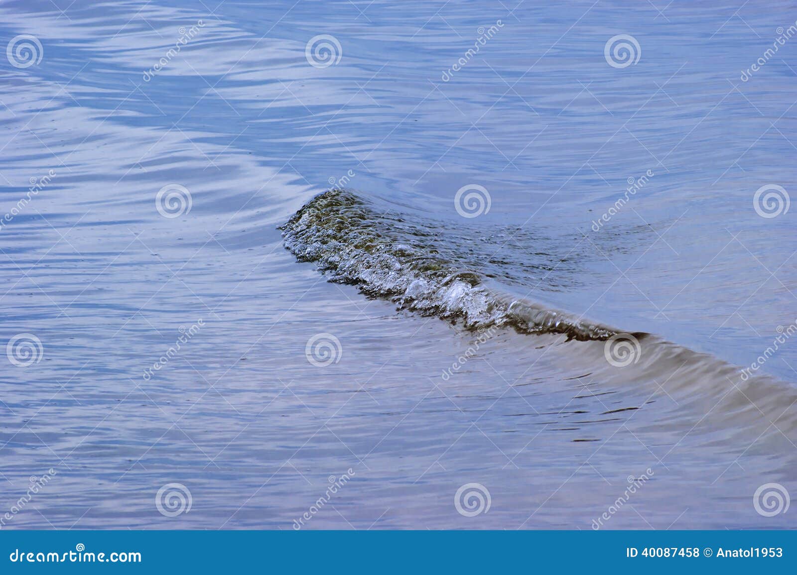 Mini wave stock photo. Image of splash, summer, still - 40087458