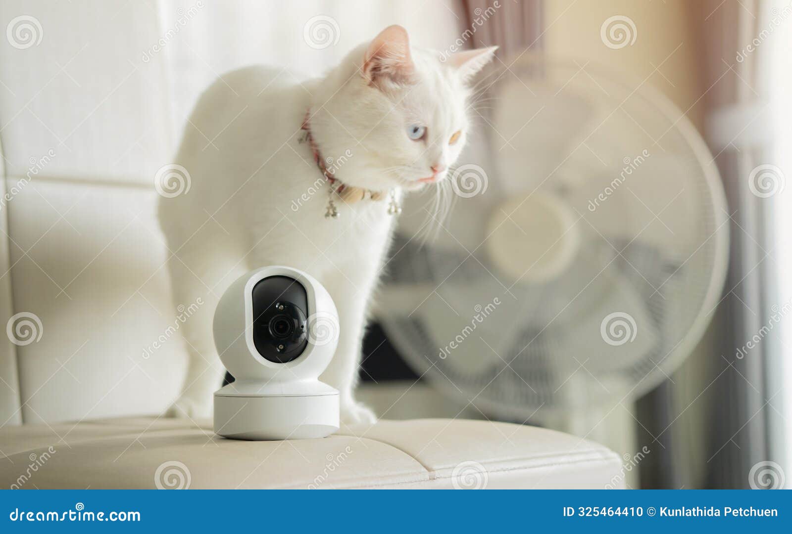 Mini White CCTV Camera Setting in the Livingroom with White Cat ...