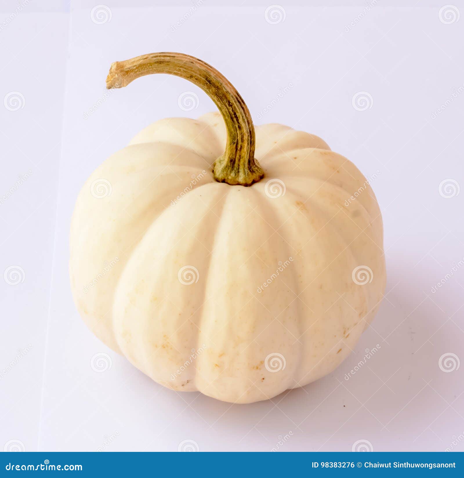 Mini white squash stock photo. Image of mini, squash - 98383276