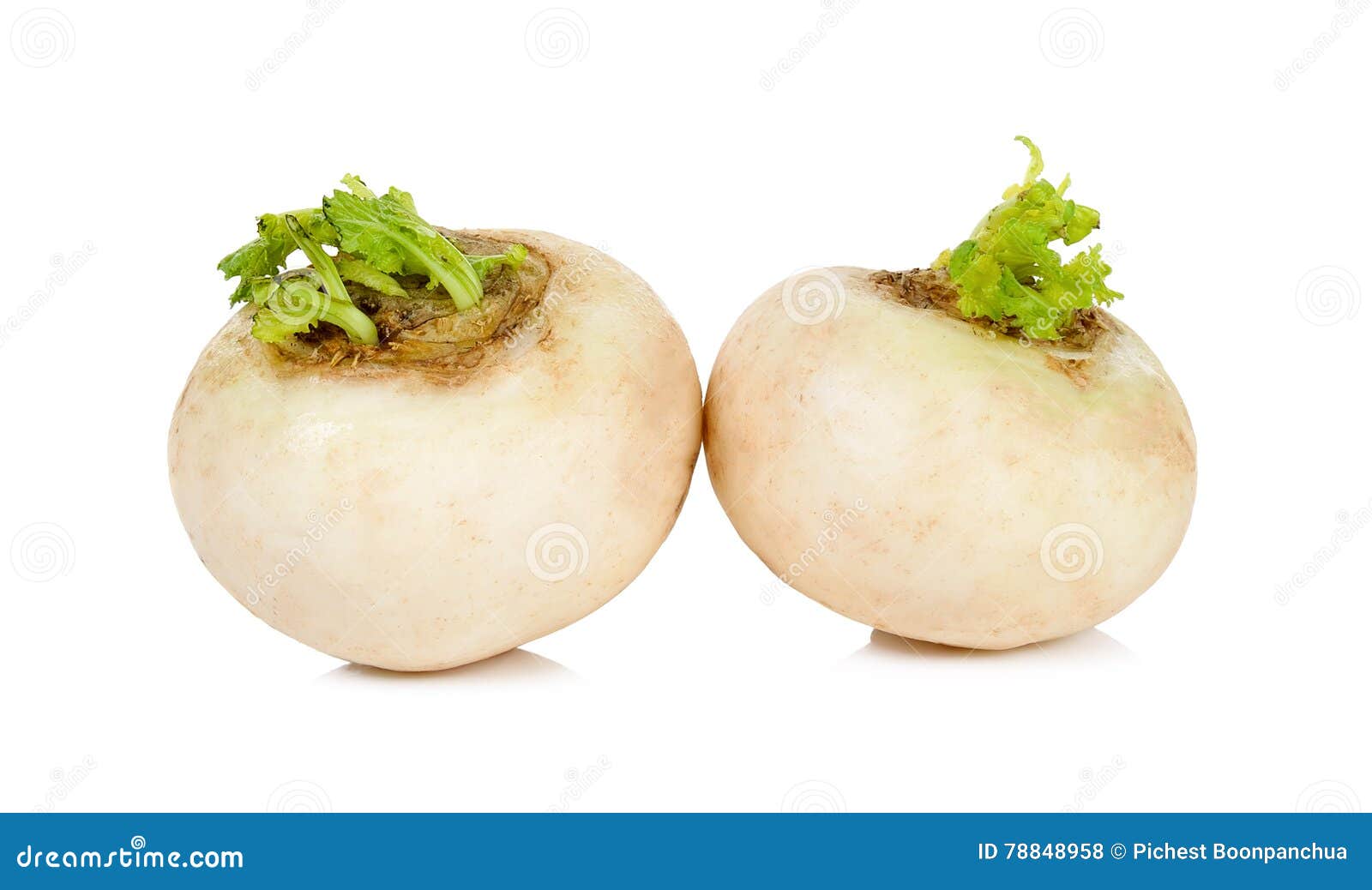 Mini White Turnip Isolated on White Background Stock Photo - Image of ...