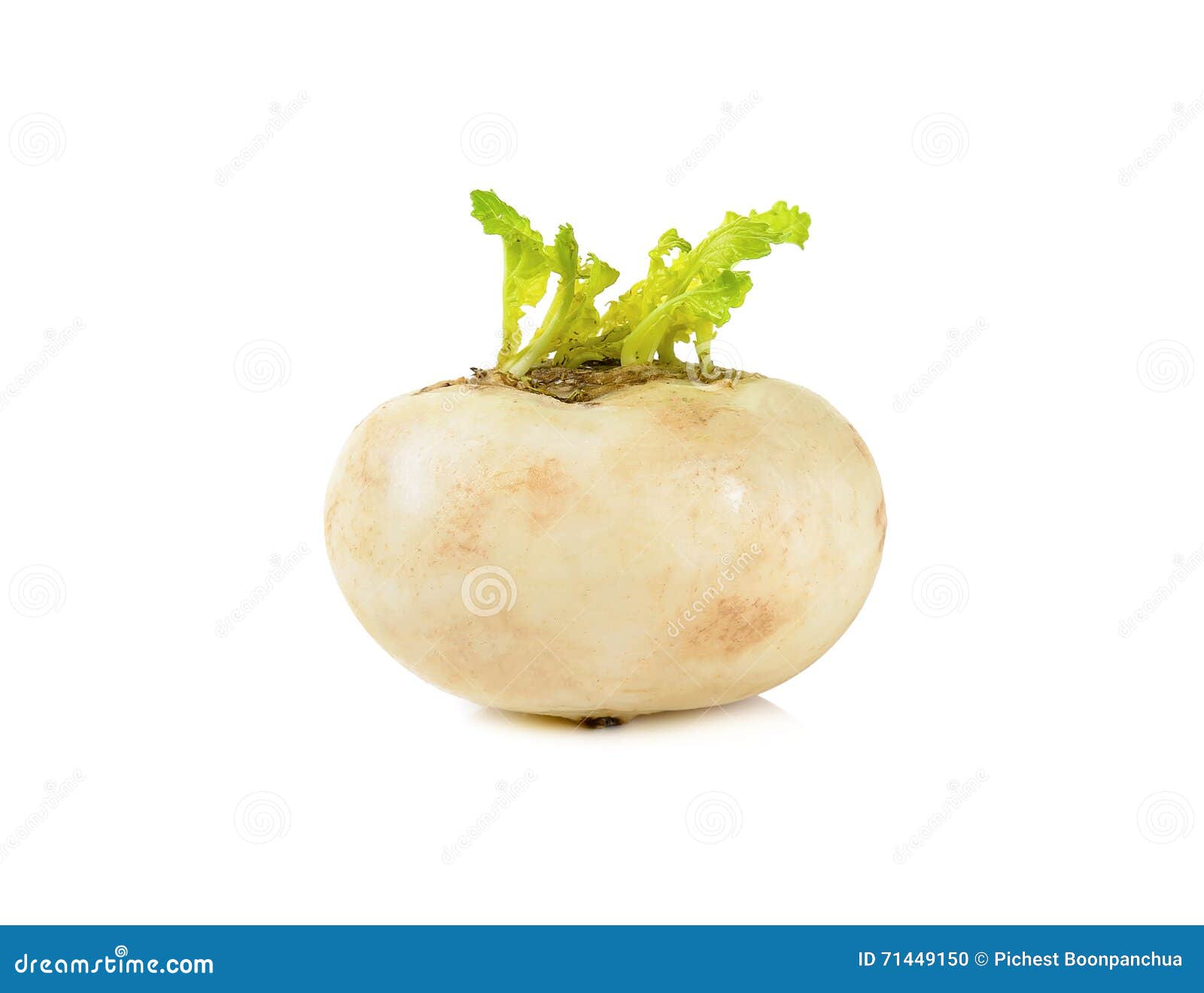 Mini White Turnips Isolated on White Stock Photo - Image of studio ...