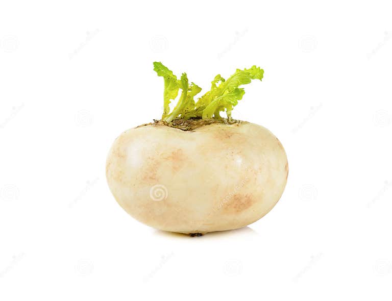 Mini White Turnips Isolated on White Stock Photo - Image of studio ...