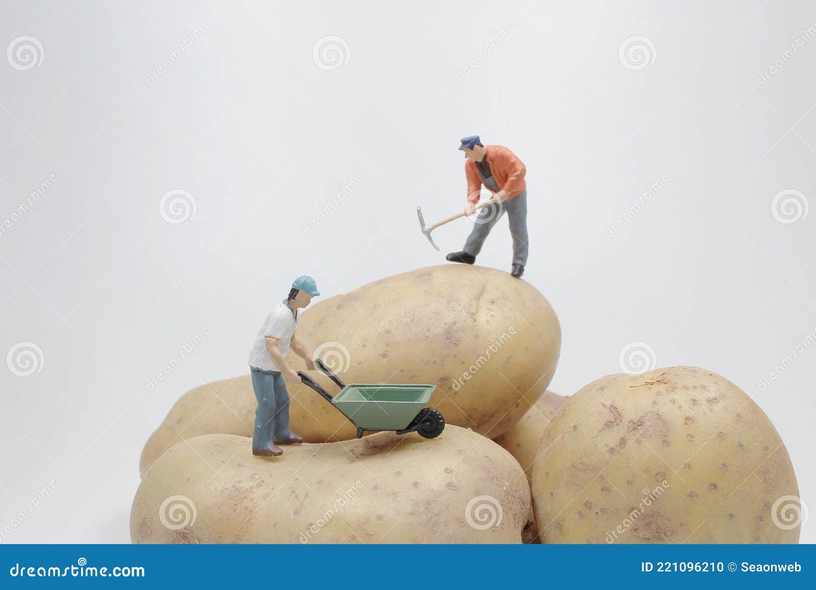 A Mini Worker Work on the Potato Stock Photo - Image of yellow, front ...