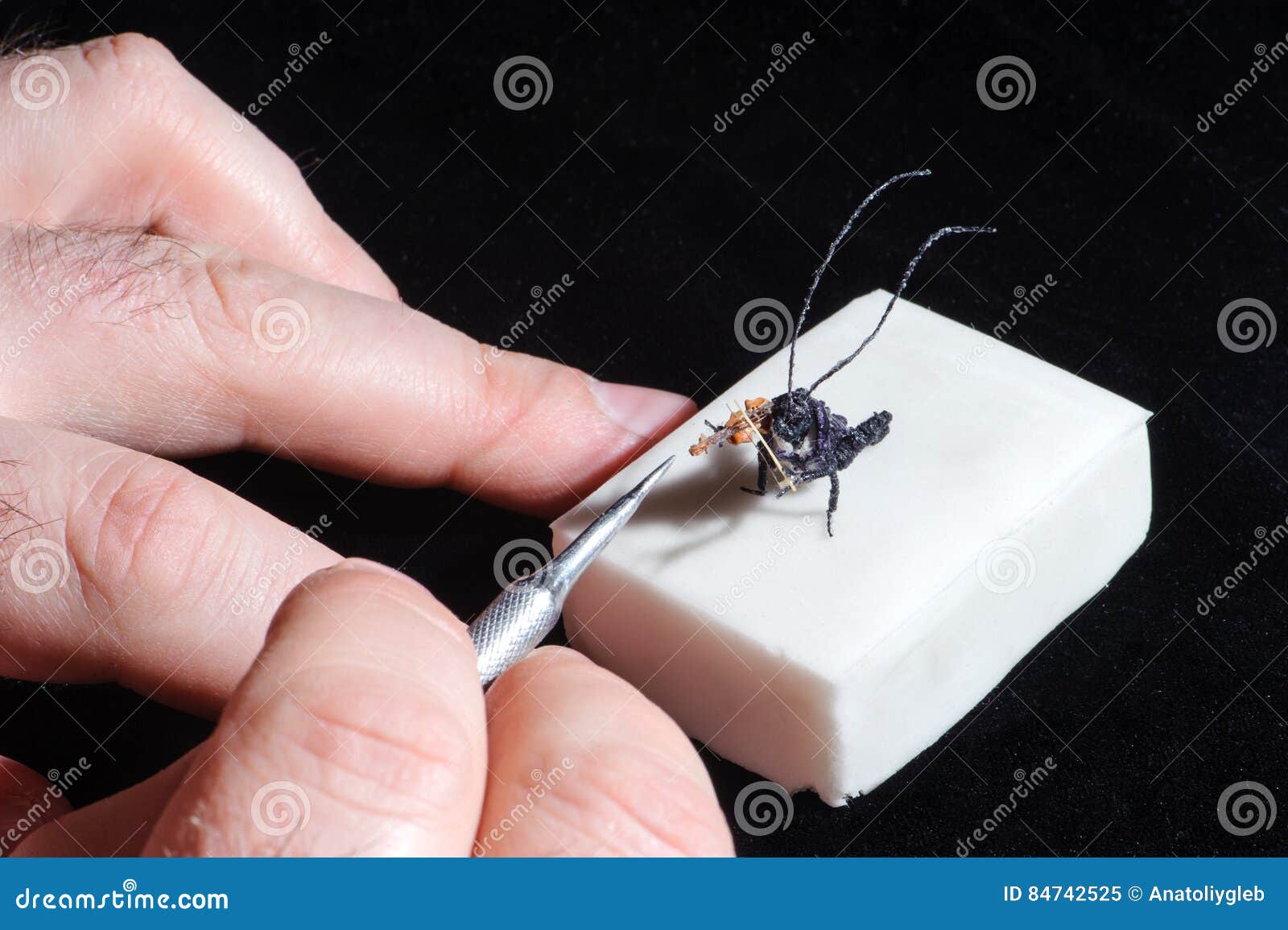 Miniature of Bug Playing Violin Stock Image - Image of violin, build ...