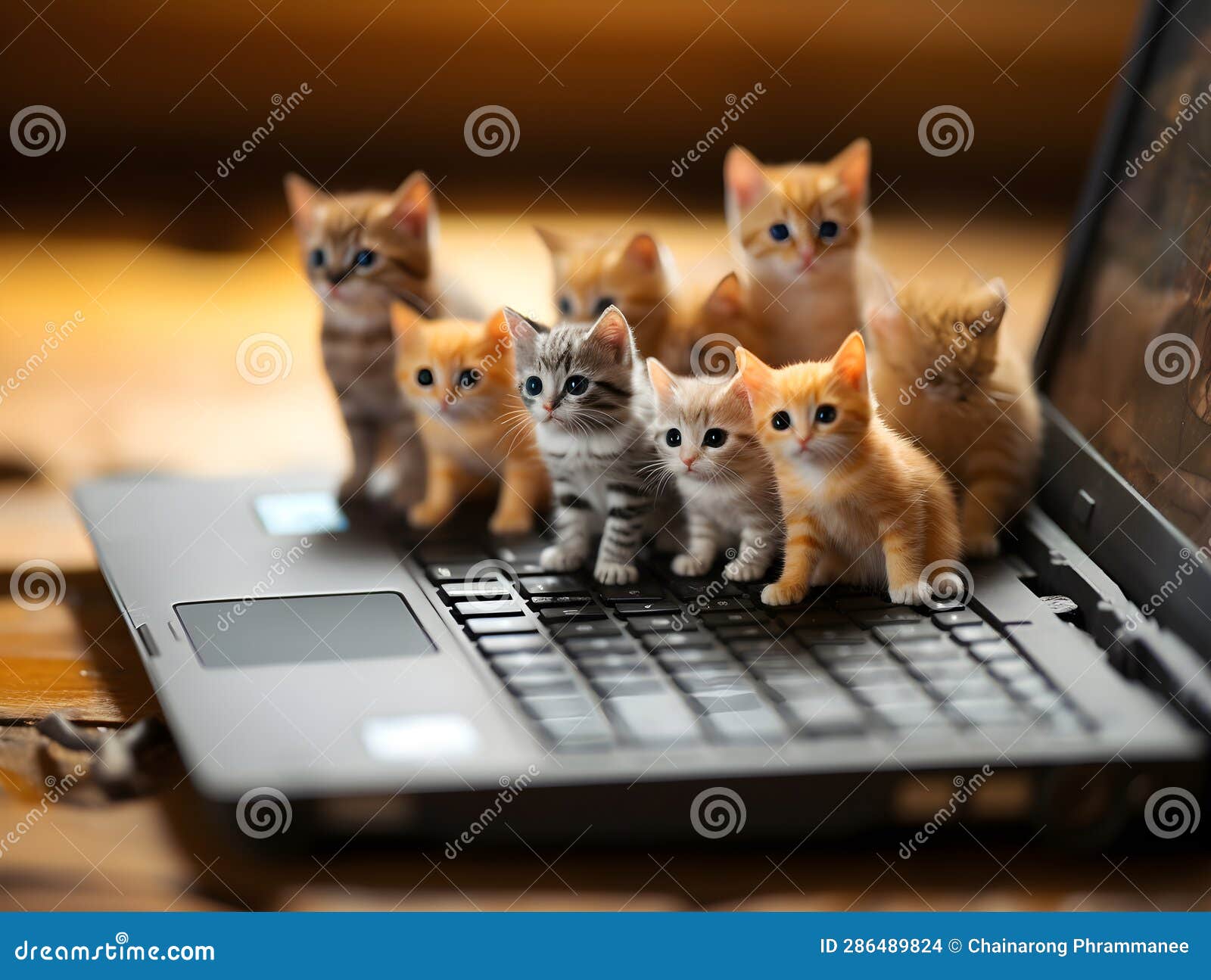 Miniature Cats and Computer, Generative Ai Stock Illustration ...