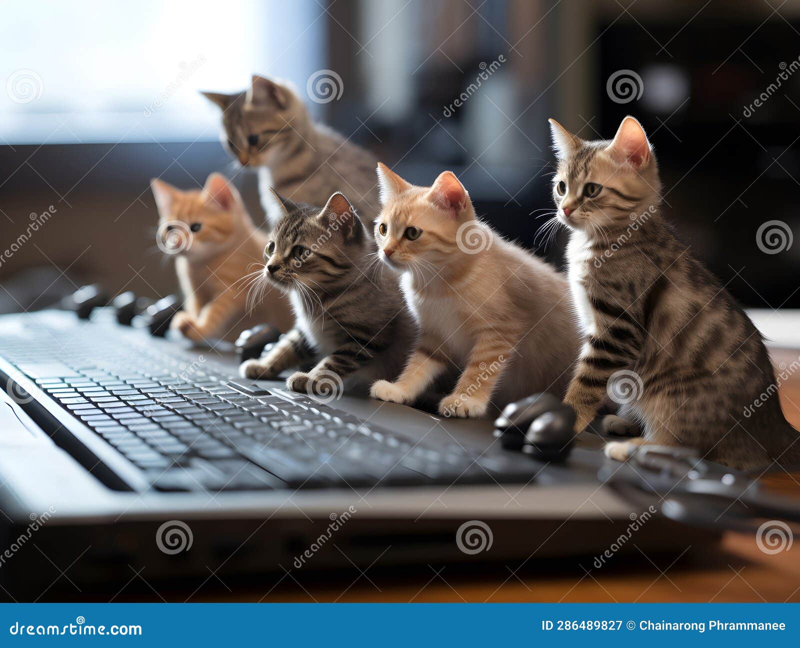 Miniature Cats and Computer, Generative Ai Stock Illustration ...