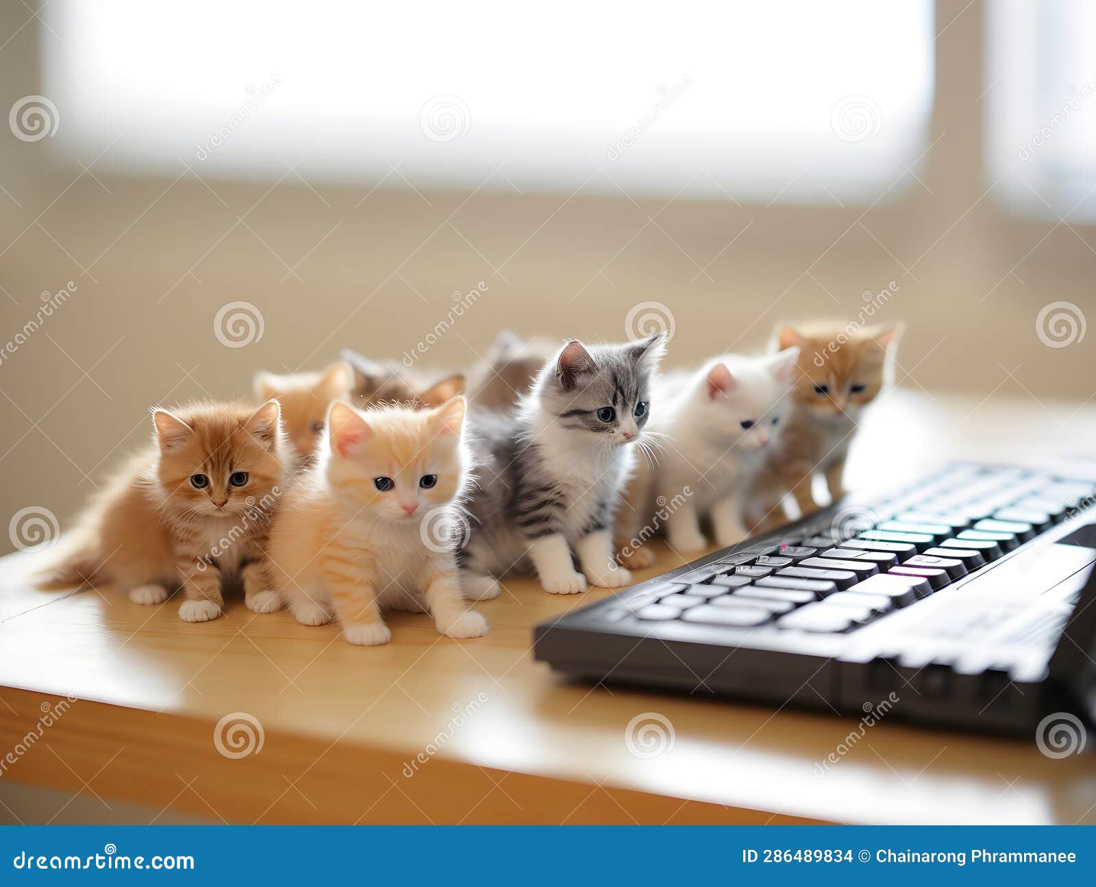 Miniature Cats and Computer, Generative Ai Stock Illustration ...