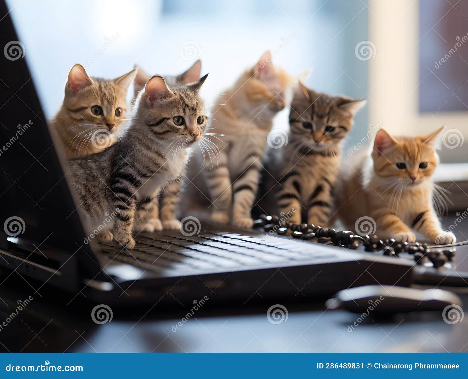 Miniature Cats and Computer, Generative Ai Stock Illustration ...