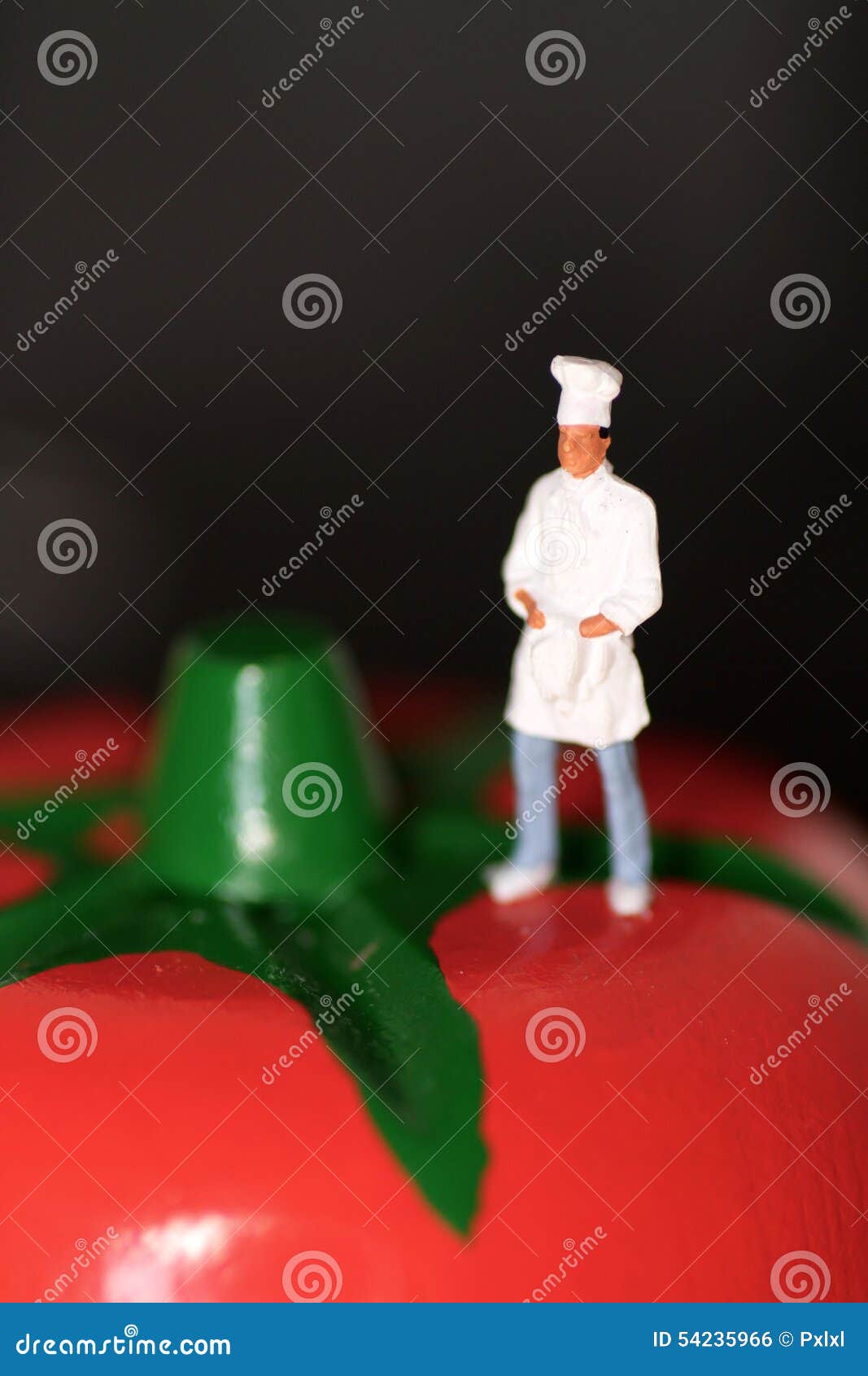Miniature of a chef stock photo. Image of macro, color - 54235966