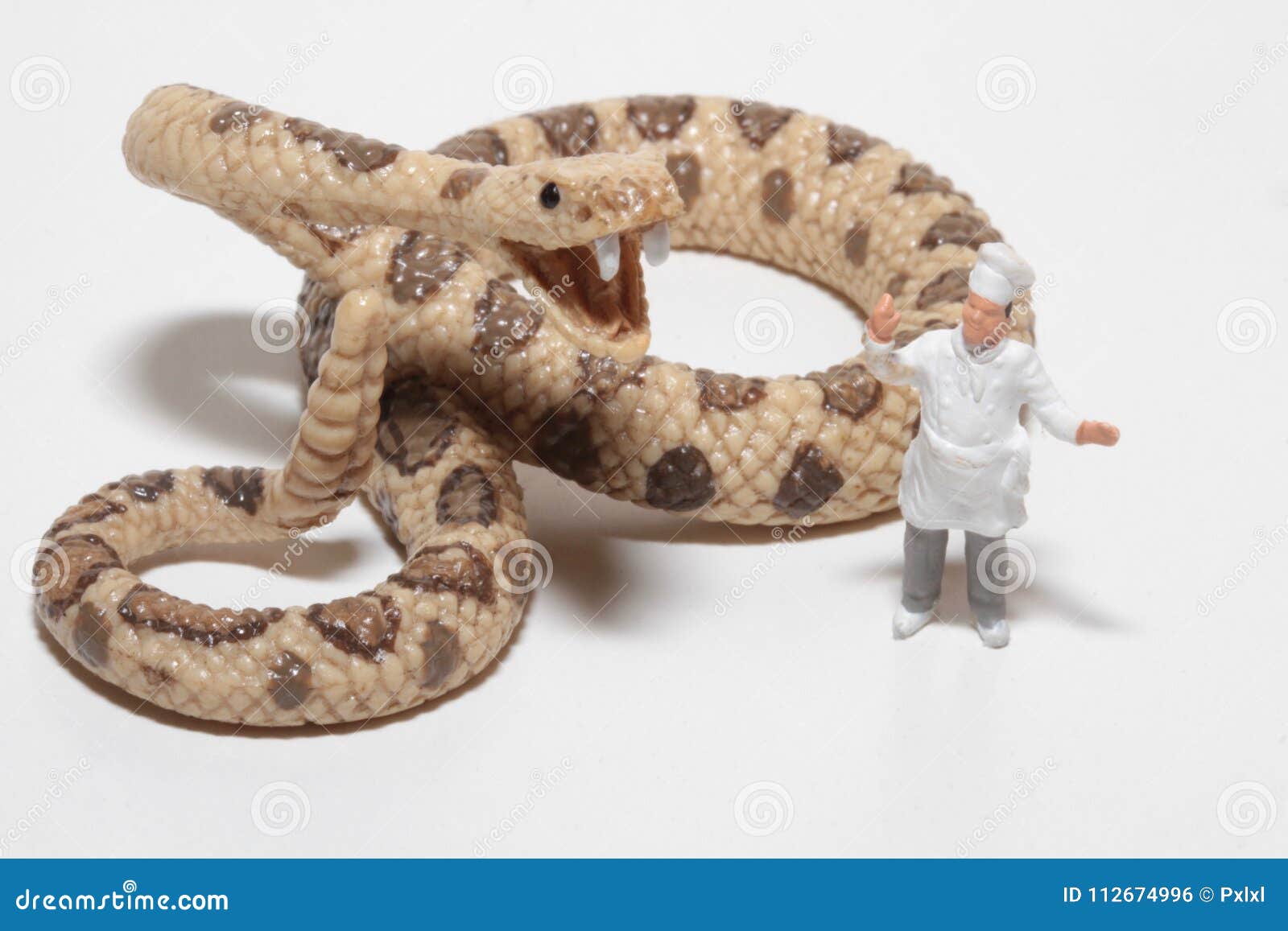 Miniature of a Cook with a Giant Snake Stock Photo - Image of fishing ...