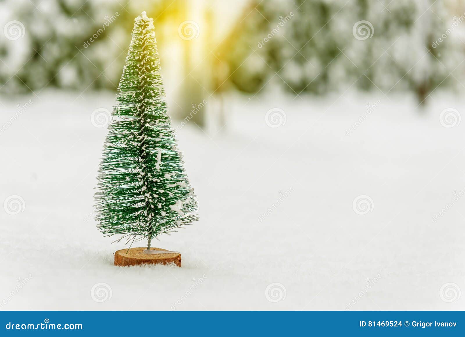 Miniature Christmas tree stock photo. Image of mini, giving - 81469524