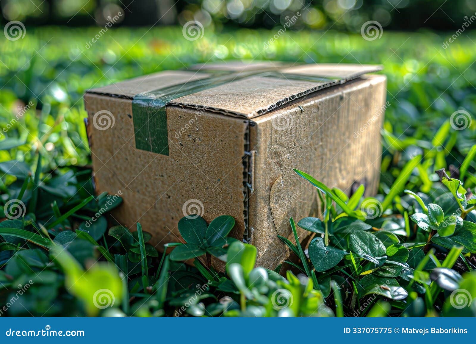 Miniature Corrugated Box On The Grass A Reflection On Recycled ...